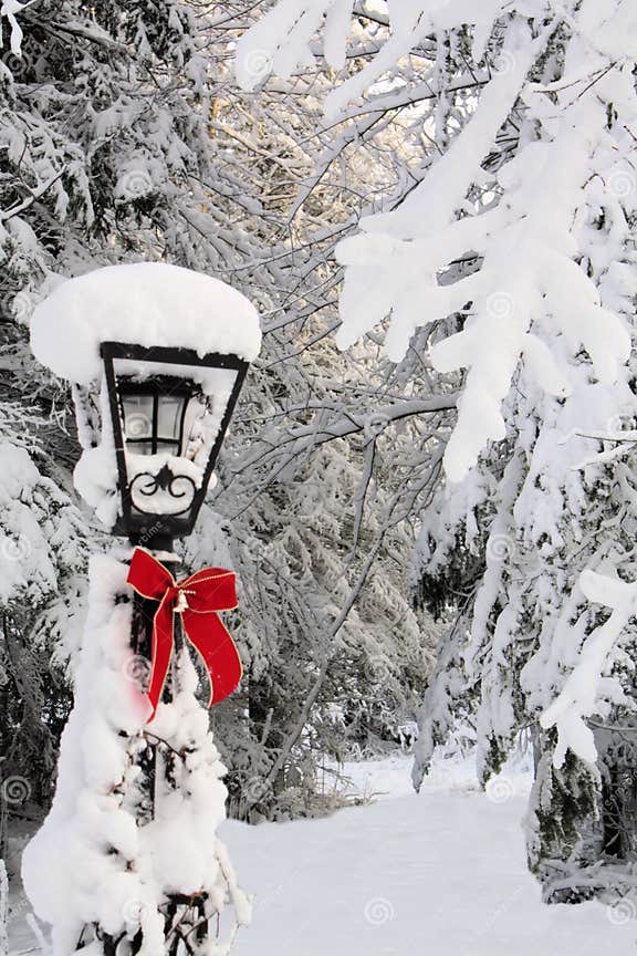 Lamp Post in Winter stock image. Image of xmas, nature - 12629077