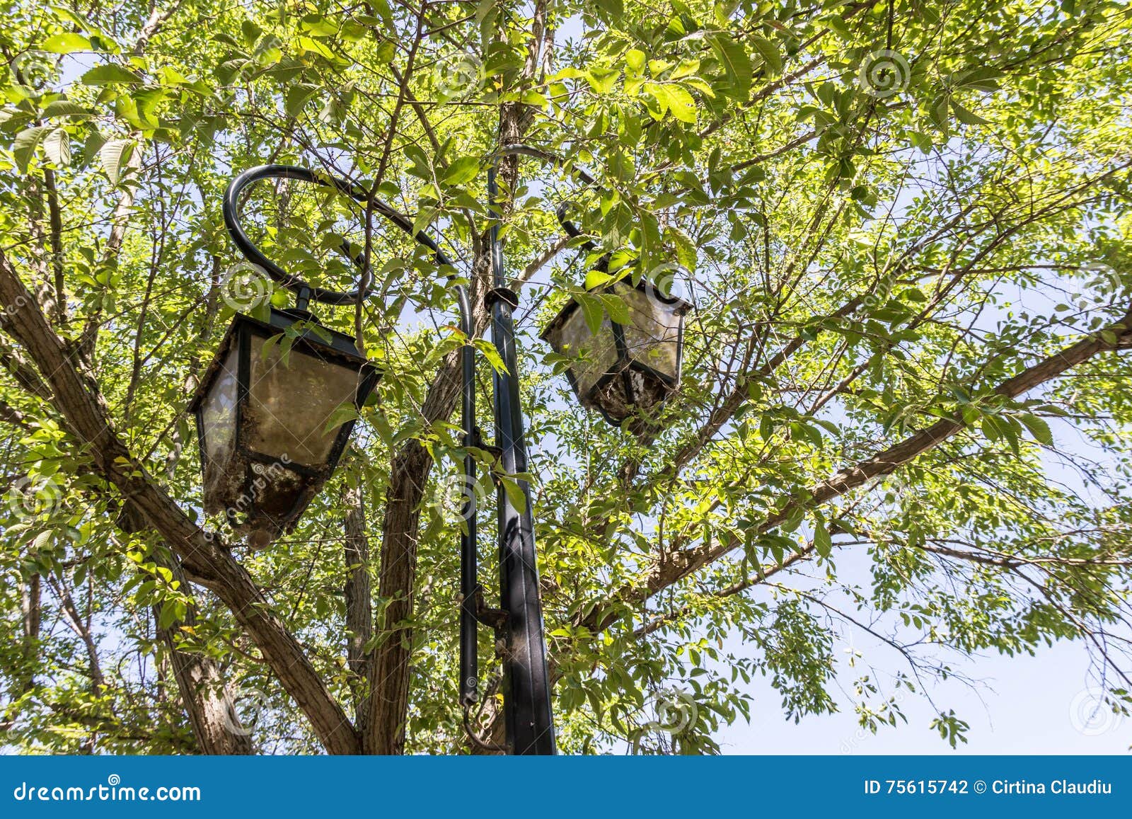 Lamp Posts into the Trees . Street Light in Front of Trees Stock Photo ...
