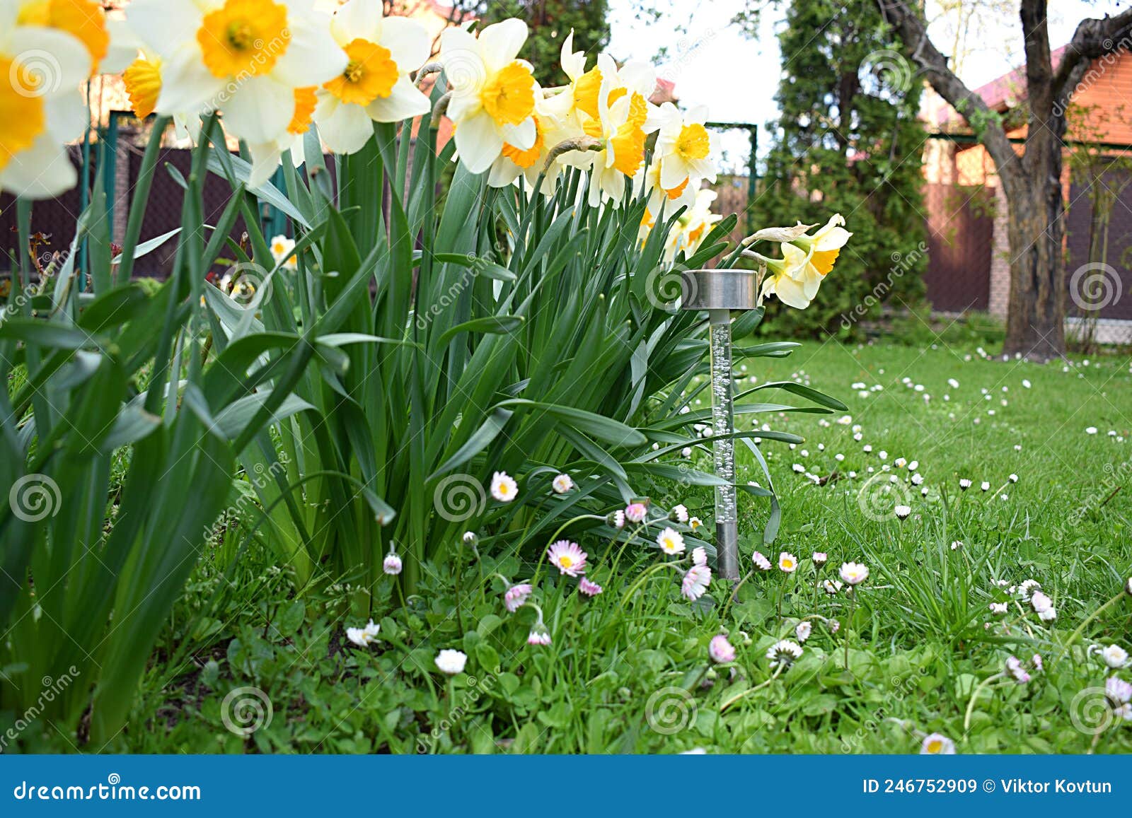 Lamp on the Solar Panel in the Garden Stock Image - Image of equipment ...