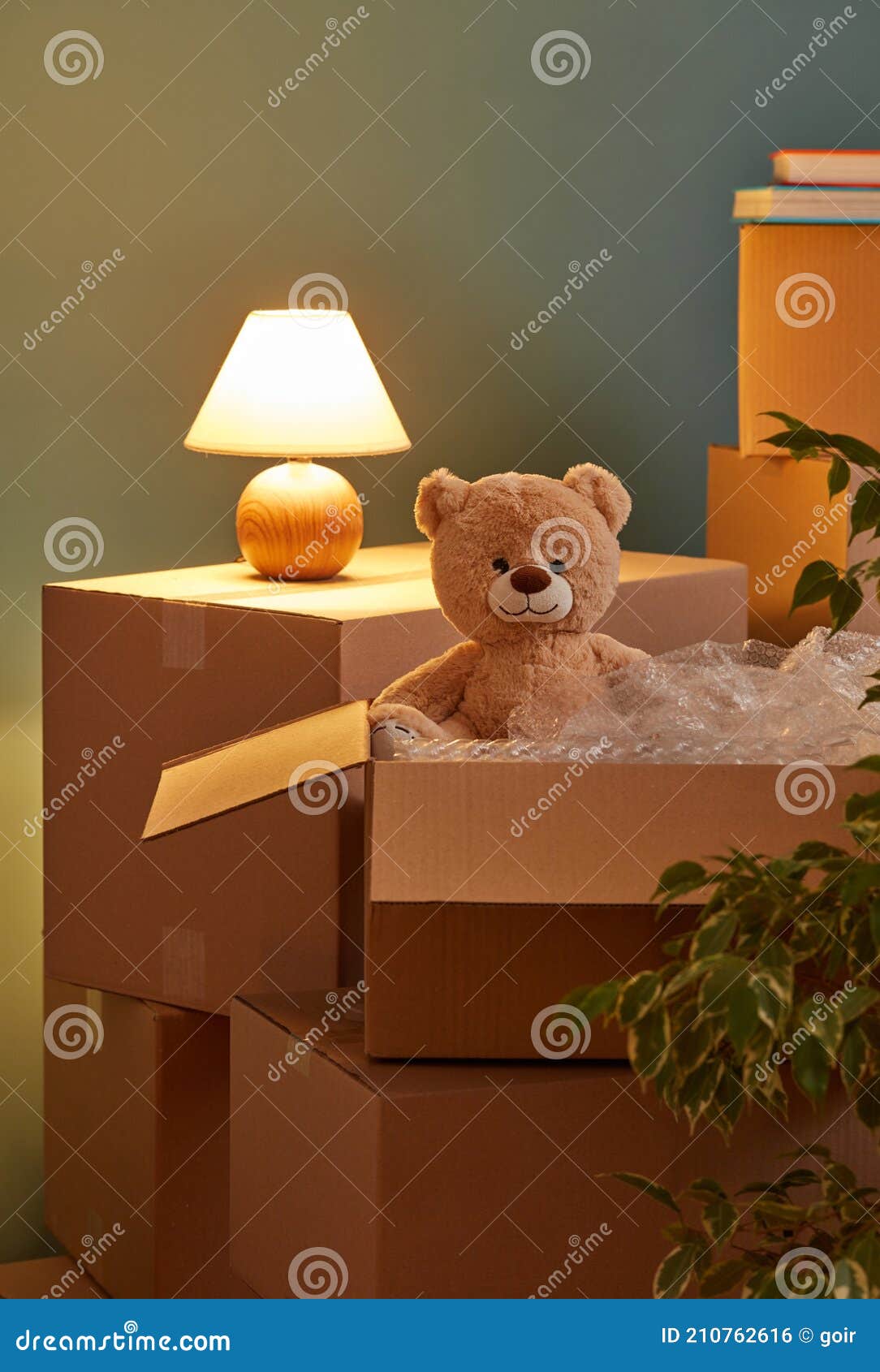 Lamp, Teddy Bear and Moving Boxes Stock Photo - Image of lamp ...