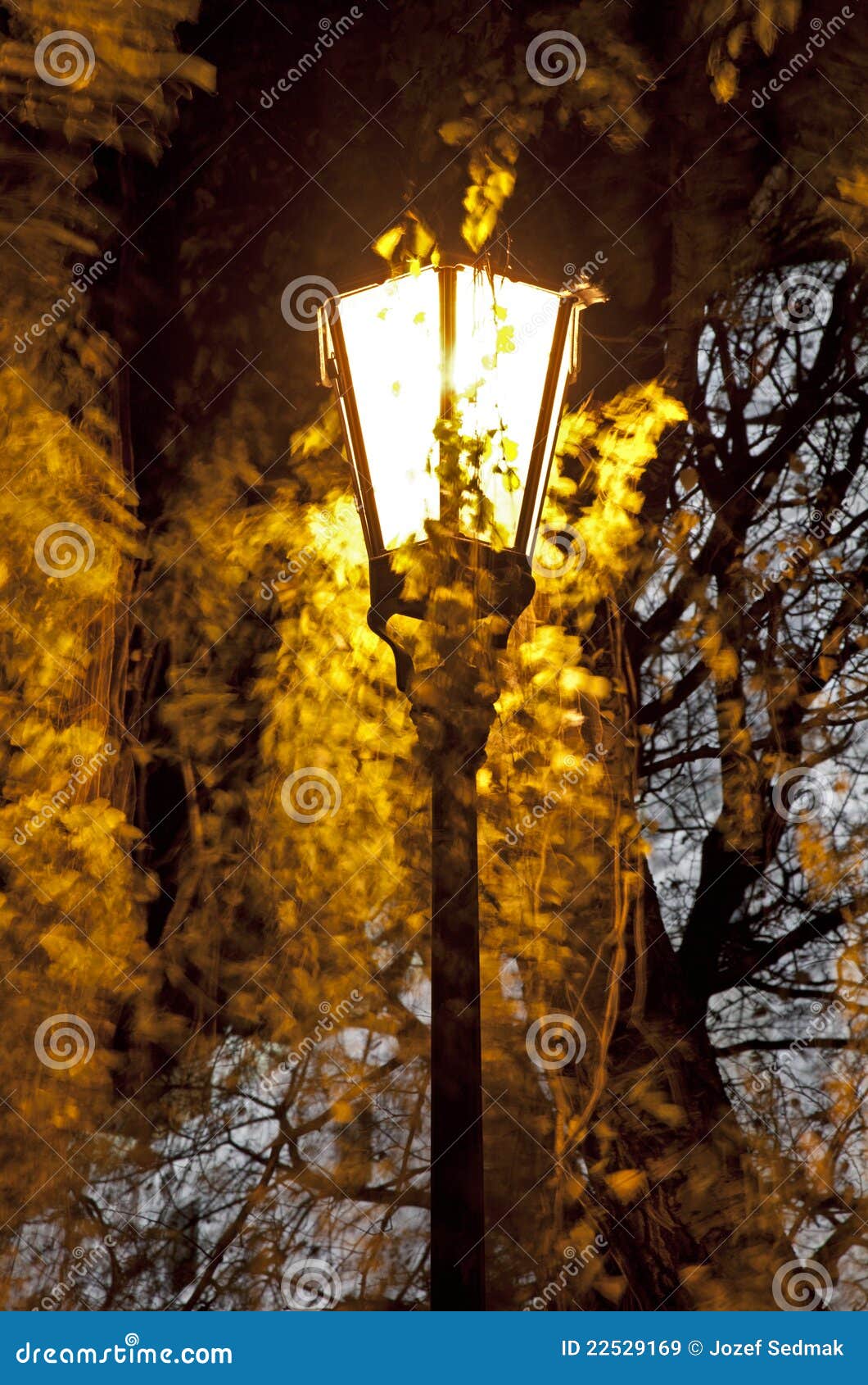 Lamp and tree stock image. Image of atmosphere, lamp - 22529169