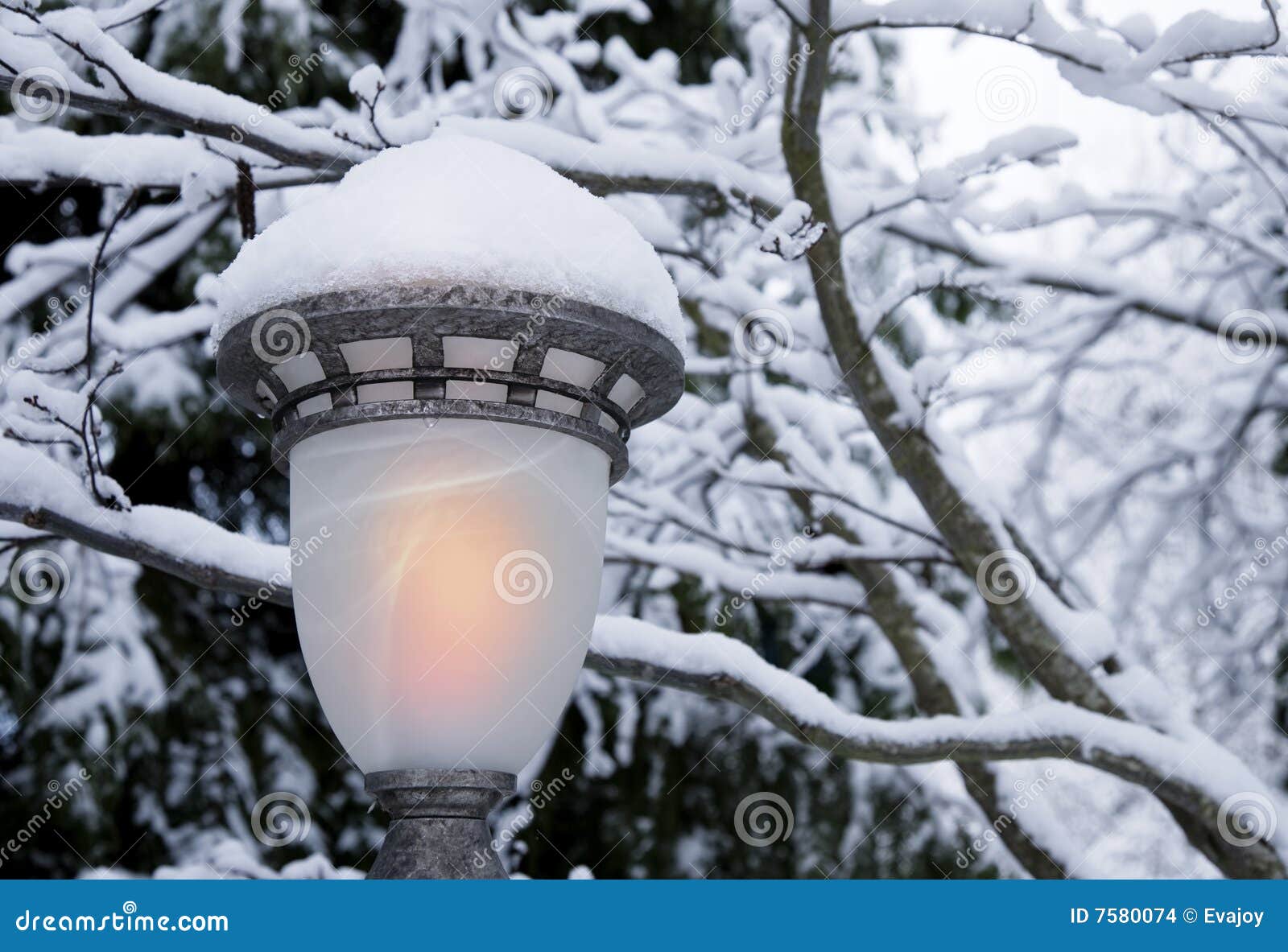 Lamplight in snow stock photo. Image of lamppost, trees - 7580074