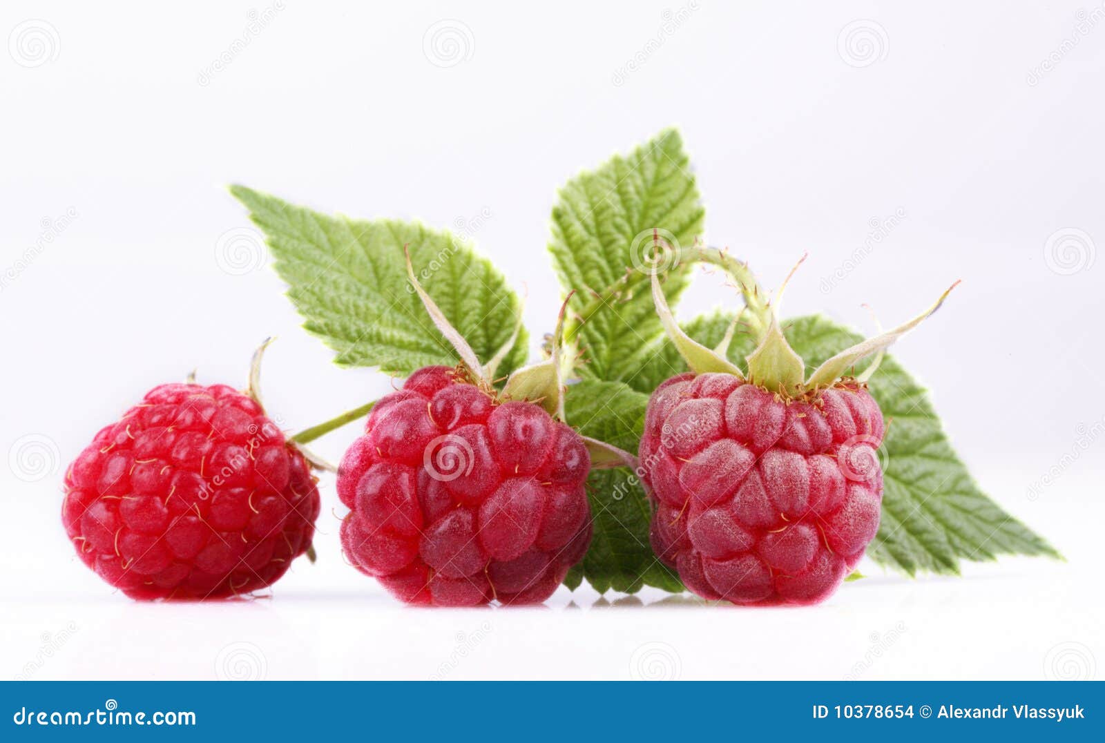 Lampone fotografia stock. Immagine di consumo, foglio - 10378654