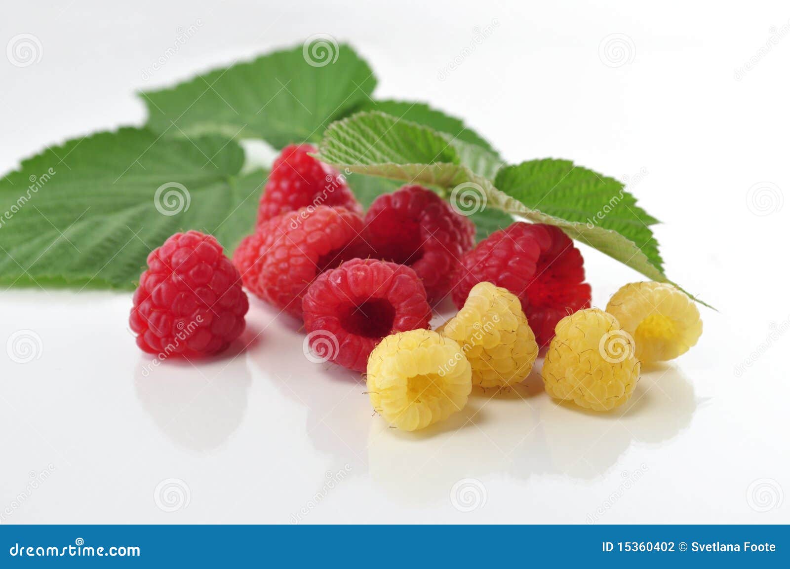 Lampone fotografia stock. Immagine di naughty, dolce - 15360402