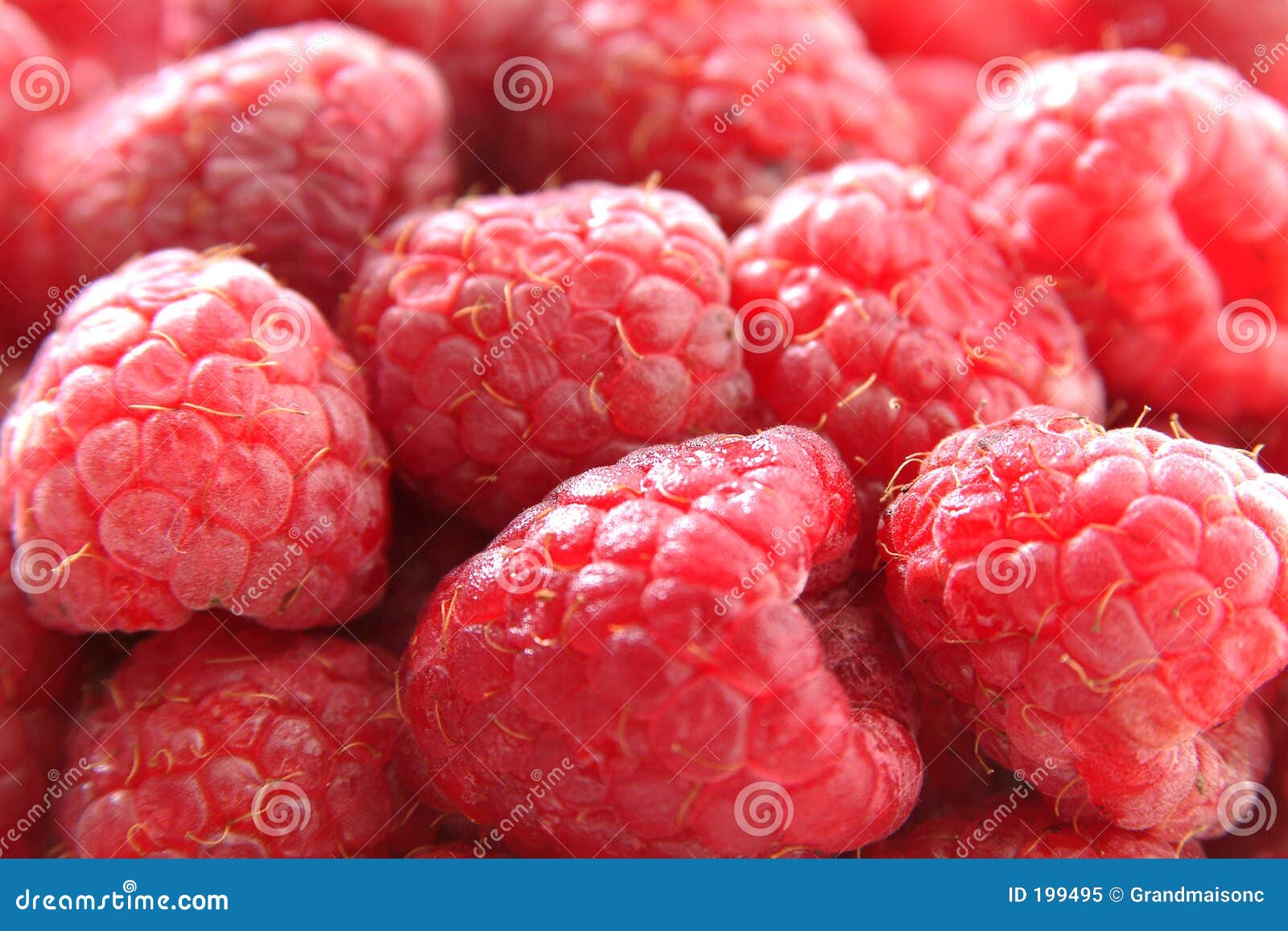 Lampone 2 immagine stock. Immagine di nave, frutte, concetti - 199495