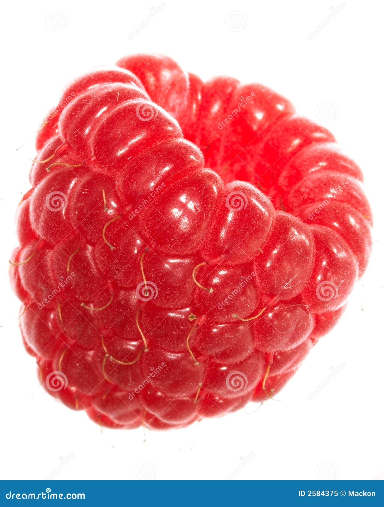 Lampone immagine stock. Immagine di botanica, raccolto - 2584375