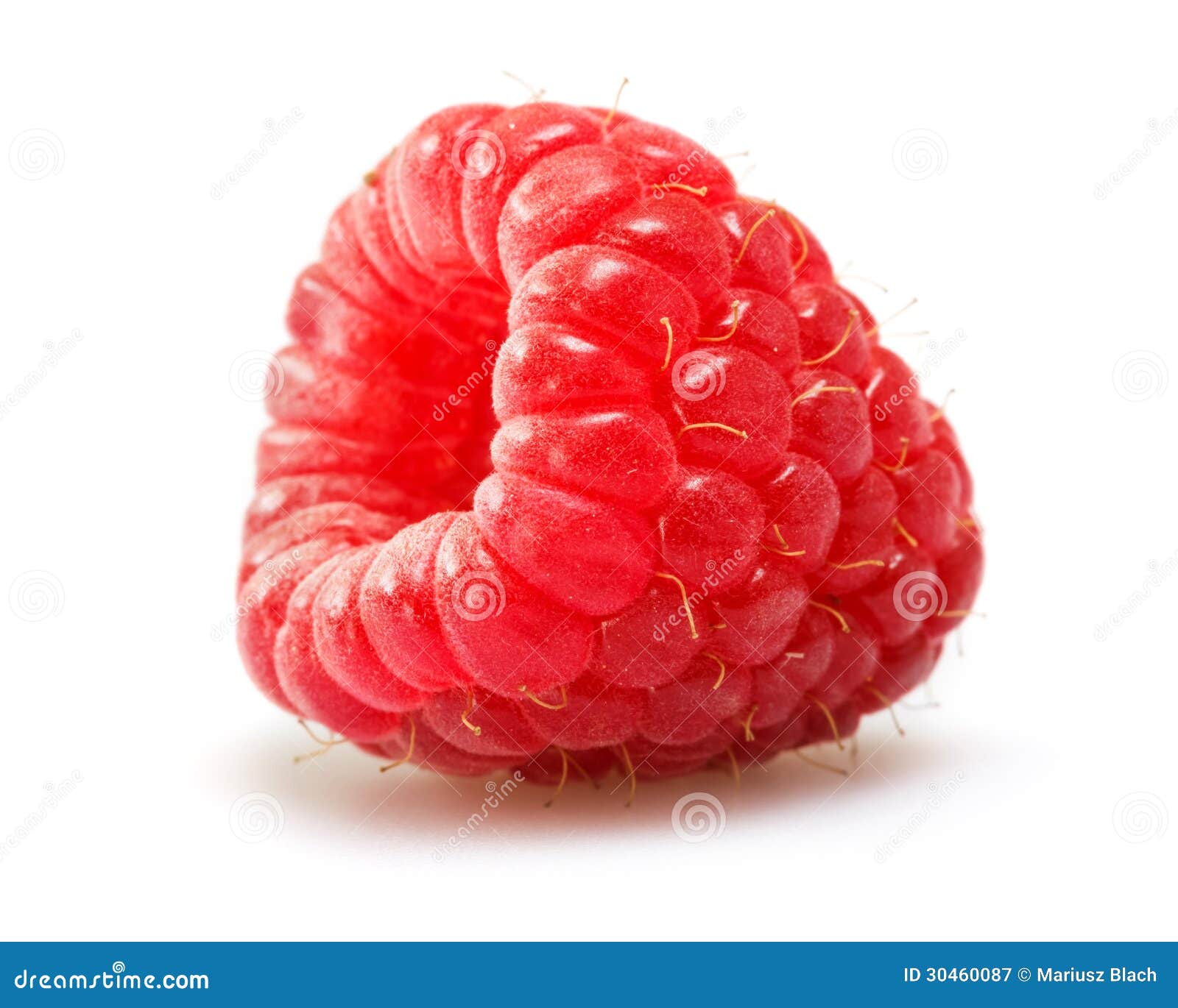 Lampone immagine stock. Immagine di dolce, sano, fresco - 30460087