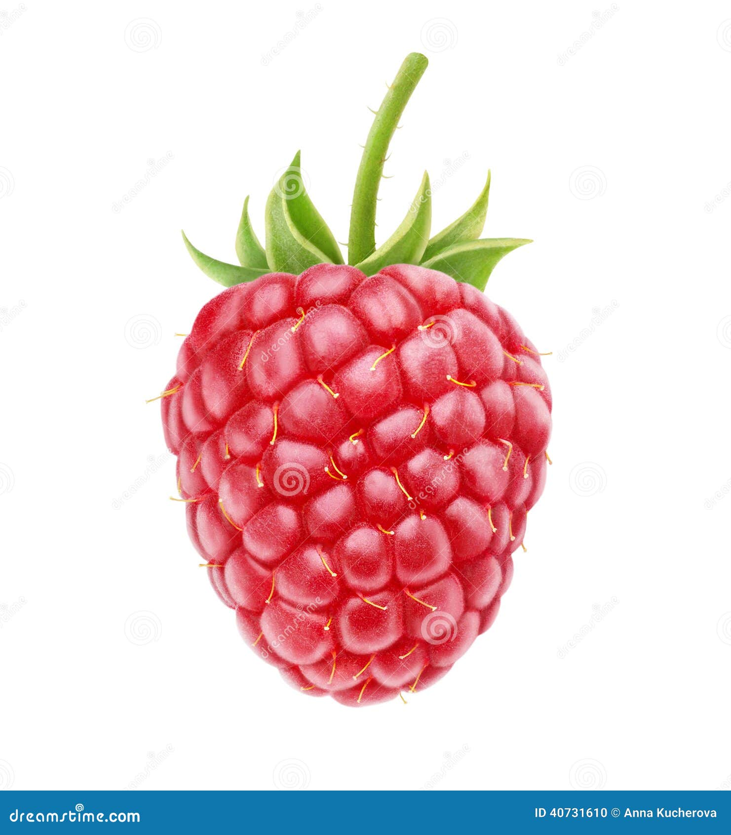 Lampone fotografia stock. Immagine di maturo, frutta - 40731610