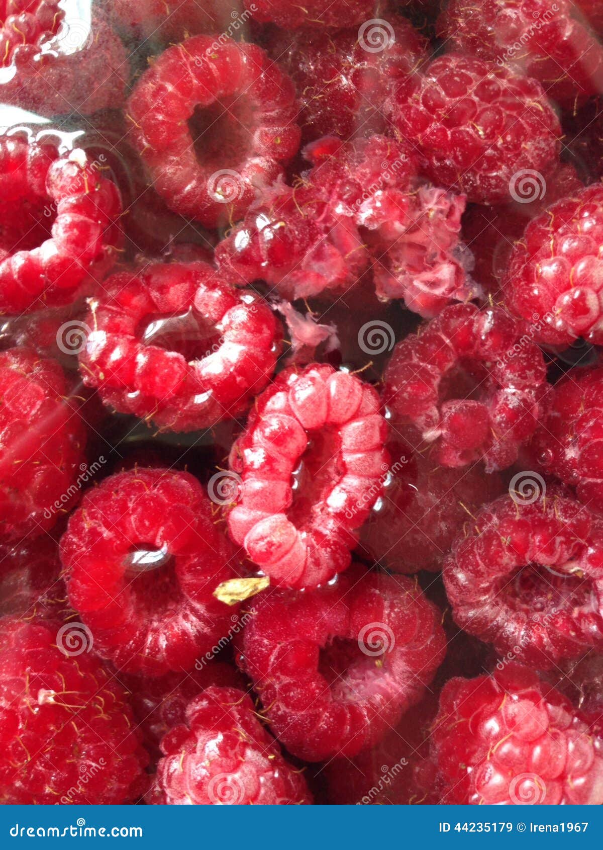 Lampone immagine stock. Immagine di lampone, rosso, fresco - 44235179