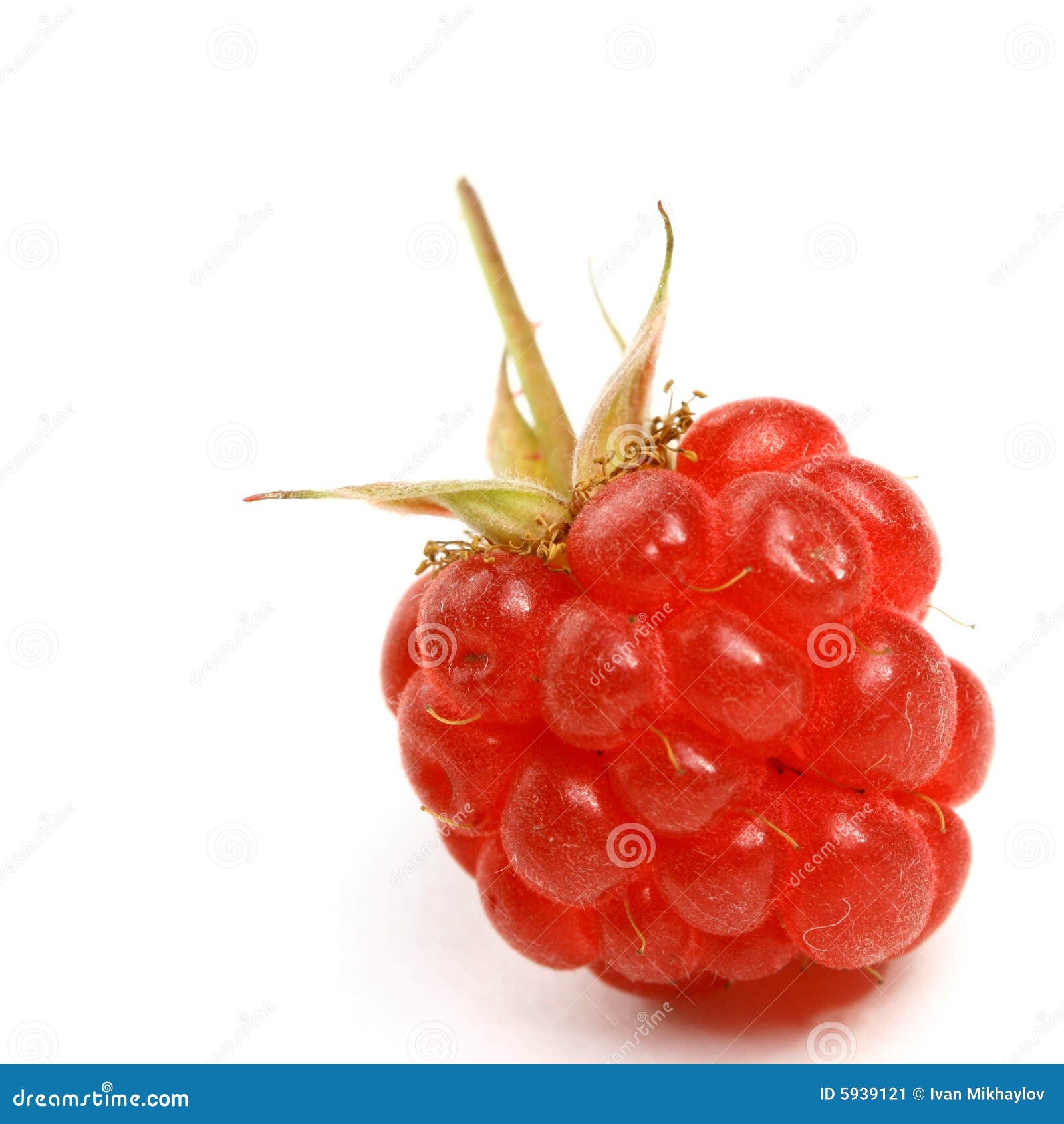 Lampone immagine stock. Immagine di dieta, dolce, salute - 5939121