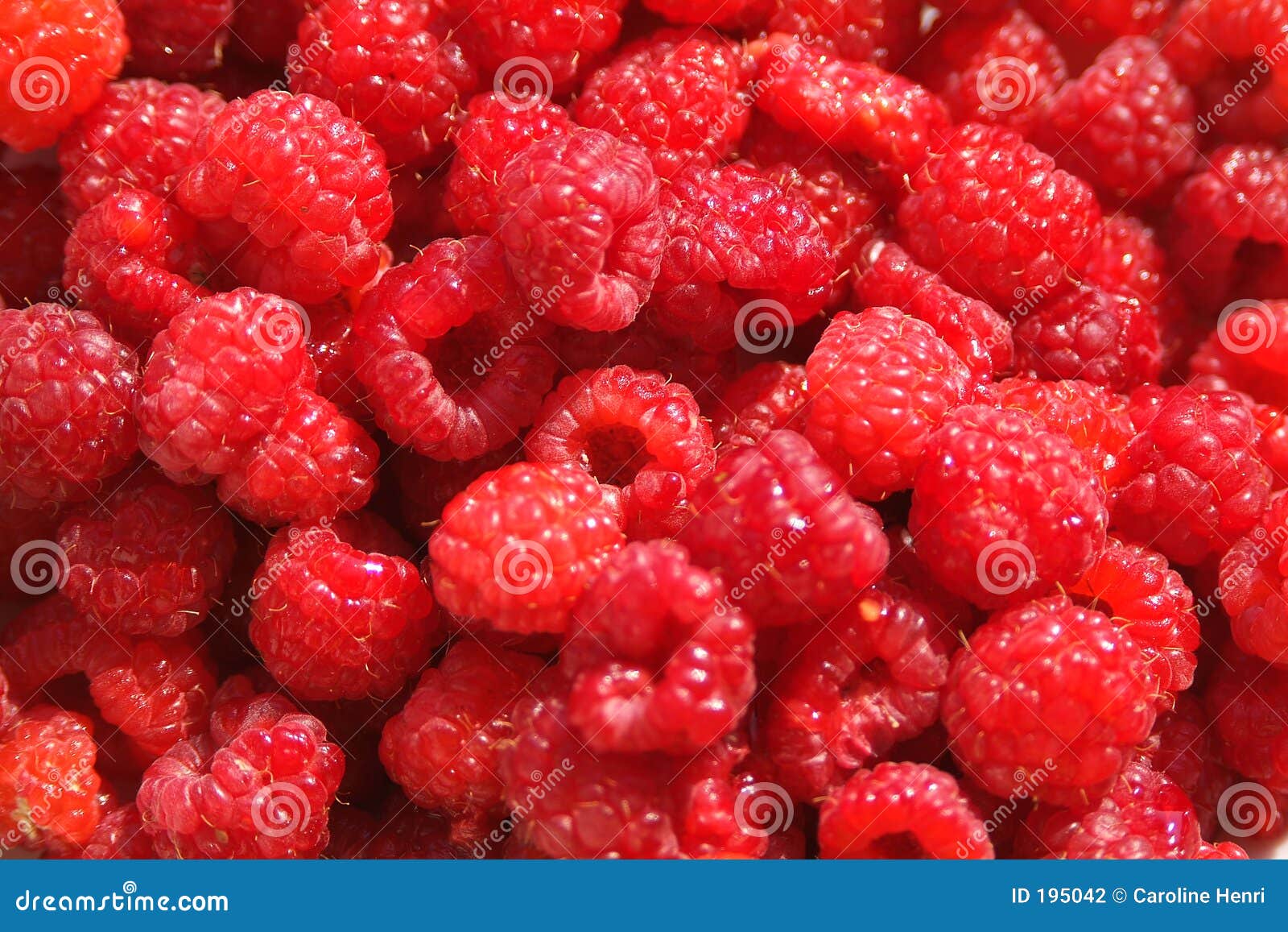 Lamponi fotografia stock. Immagine di frutte, stagioni - 195042