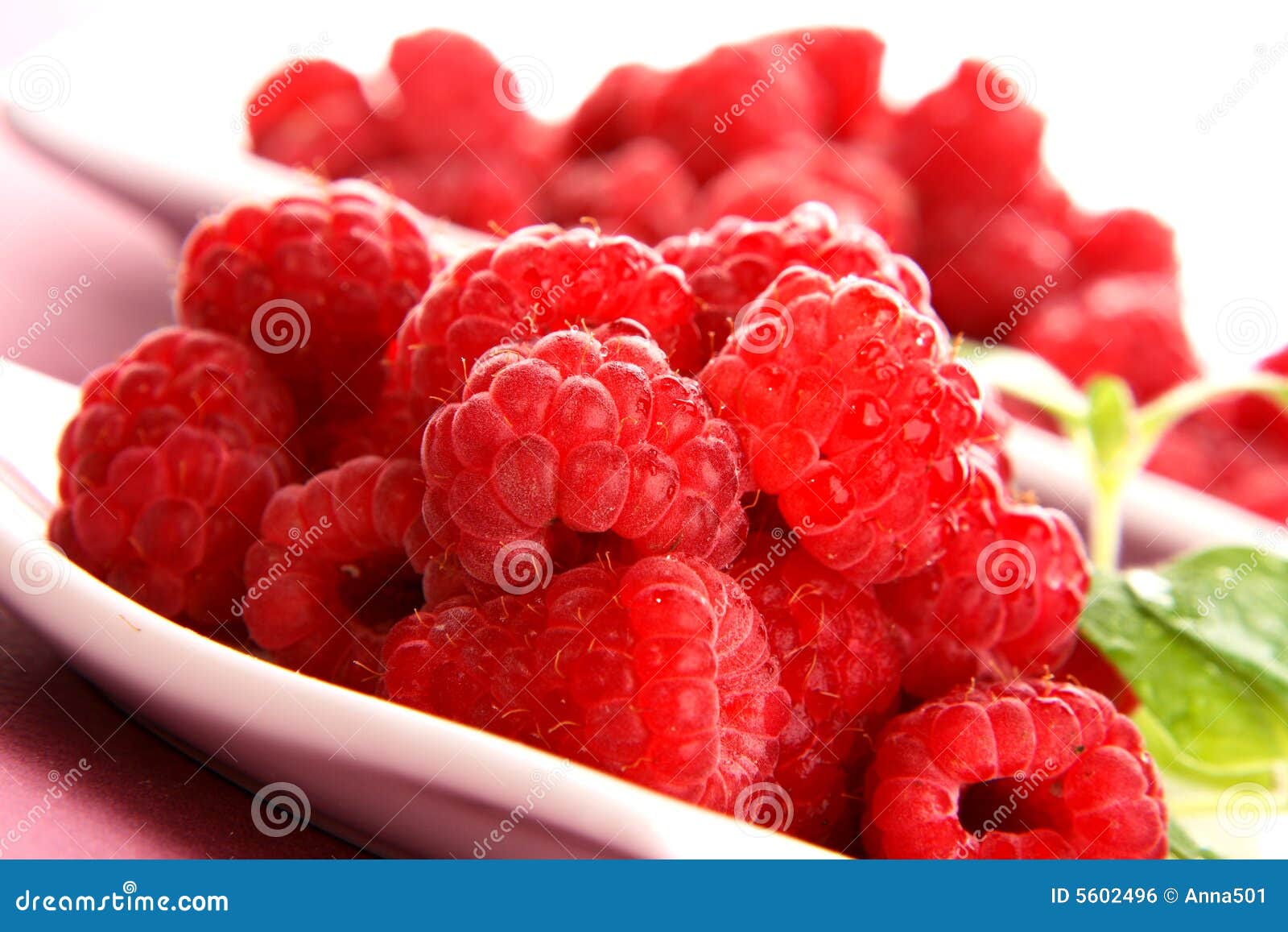 Lamponi fotografia stock. Immagine di dolce, fresco, alimento - 5602496