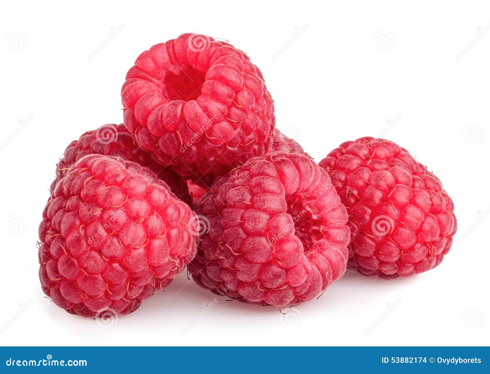 Lamponi isolati fotografia stock. Immagine di sano, frutta - 53882174