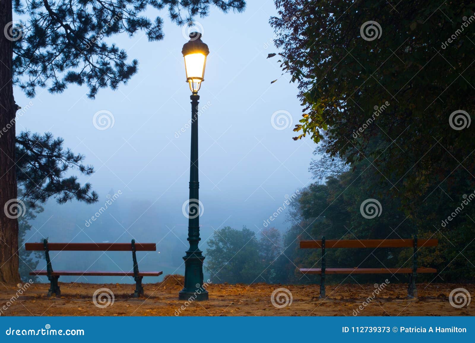Lamppost in park stock image. Image of park, scenic - 112739373