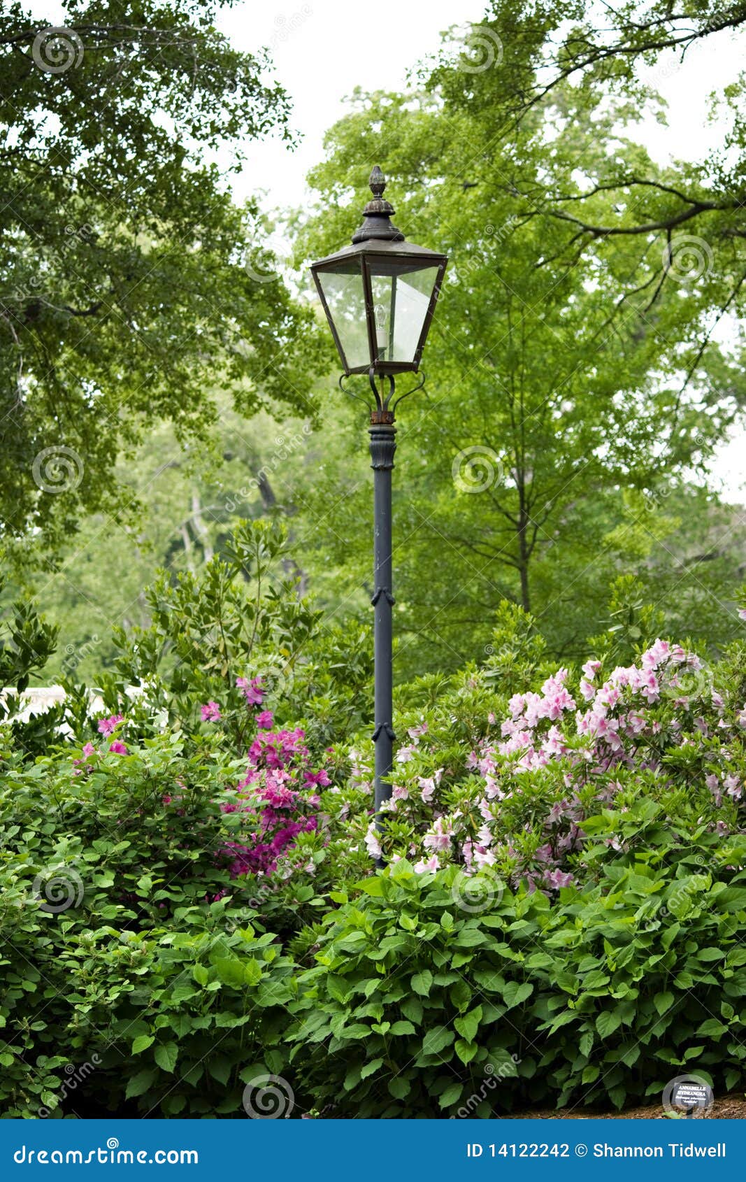 Lamppost in green garden stock photo. Image of leaves - 14122242