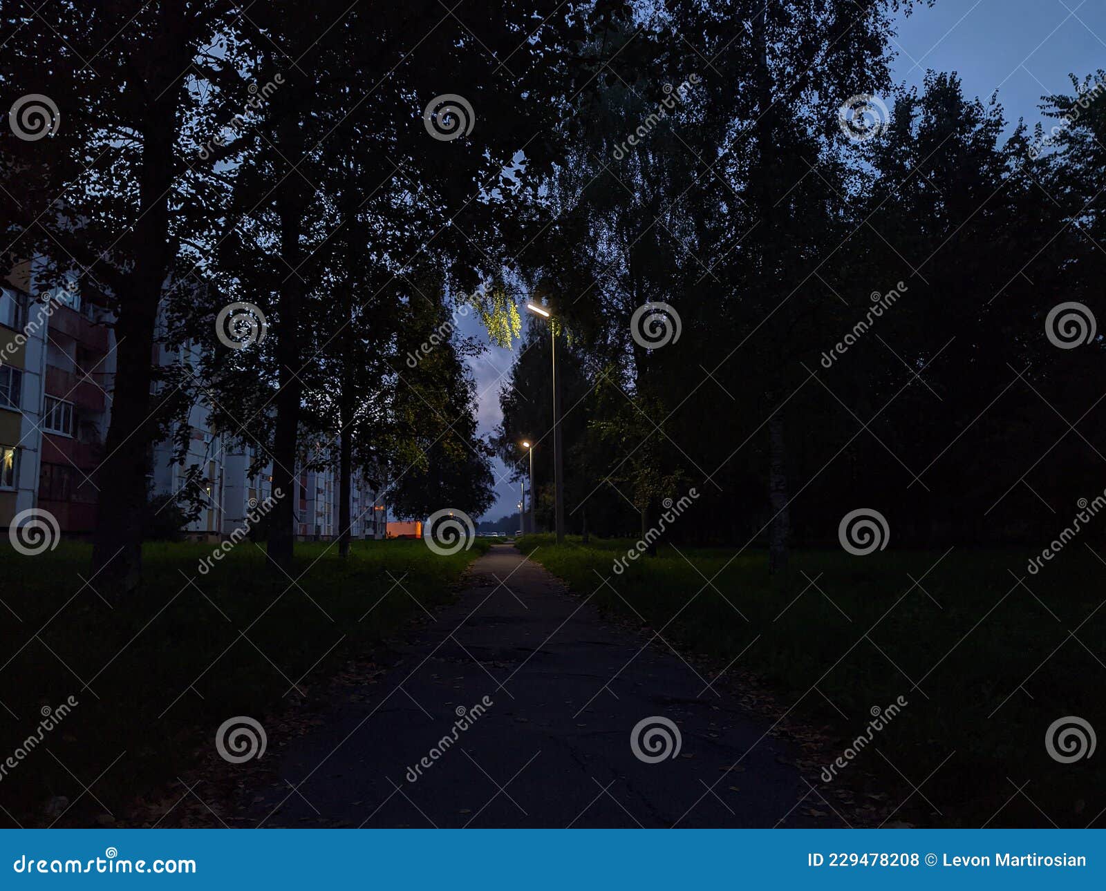 Lamppost Light Illuminates the Path at Night. Stock Photo - Image of ...