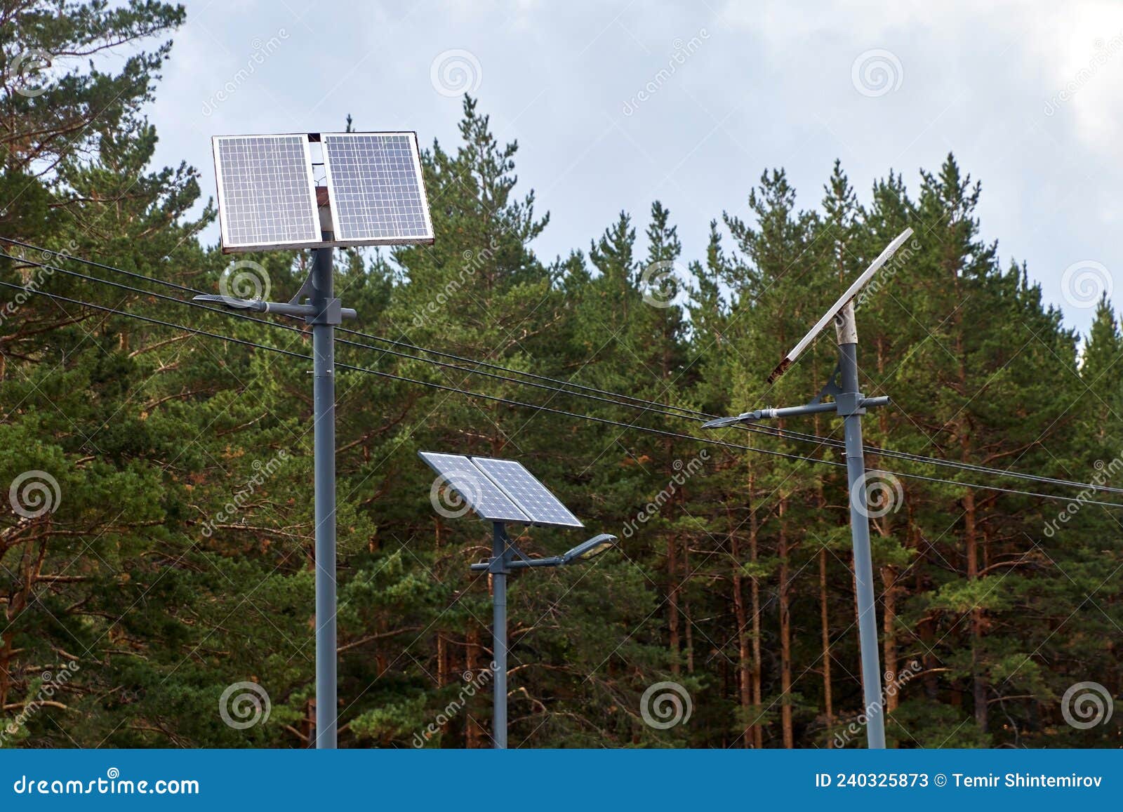 Lamppost with a Solar Battery on a Forest Path. Stock Image - Image of ...