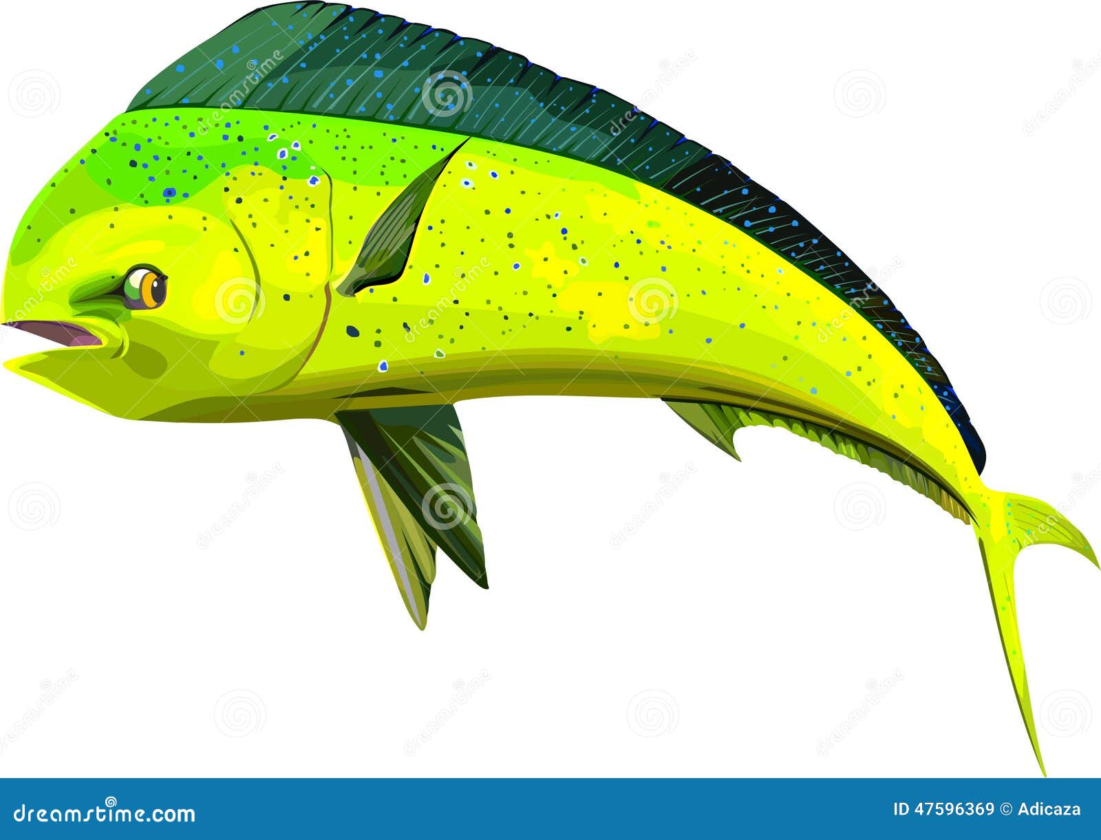 Lampuga illustrazione vettoriale. Illustrazione di tonno - 47596369