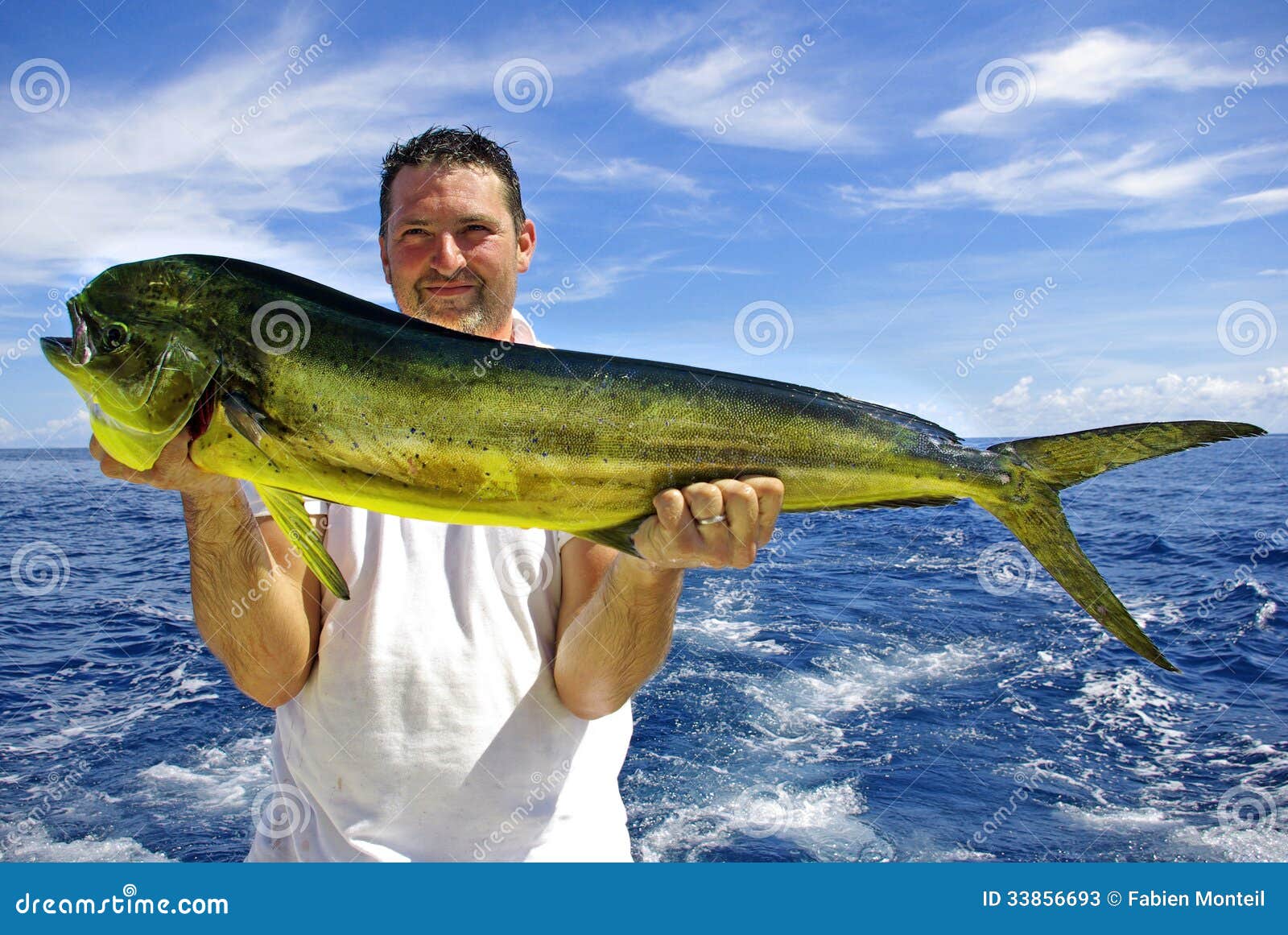 Lampuga (mahi-mahi) immagine stock. Immagine di fusione - 33856693
