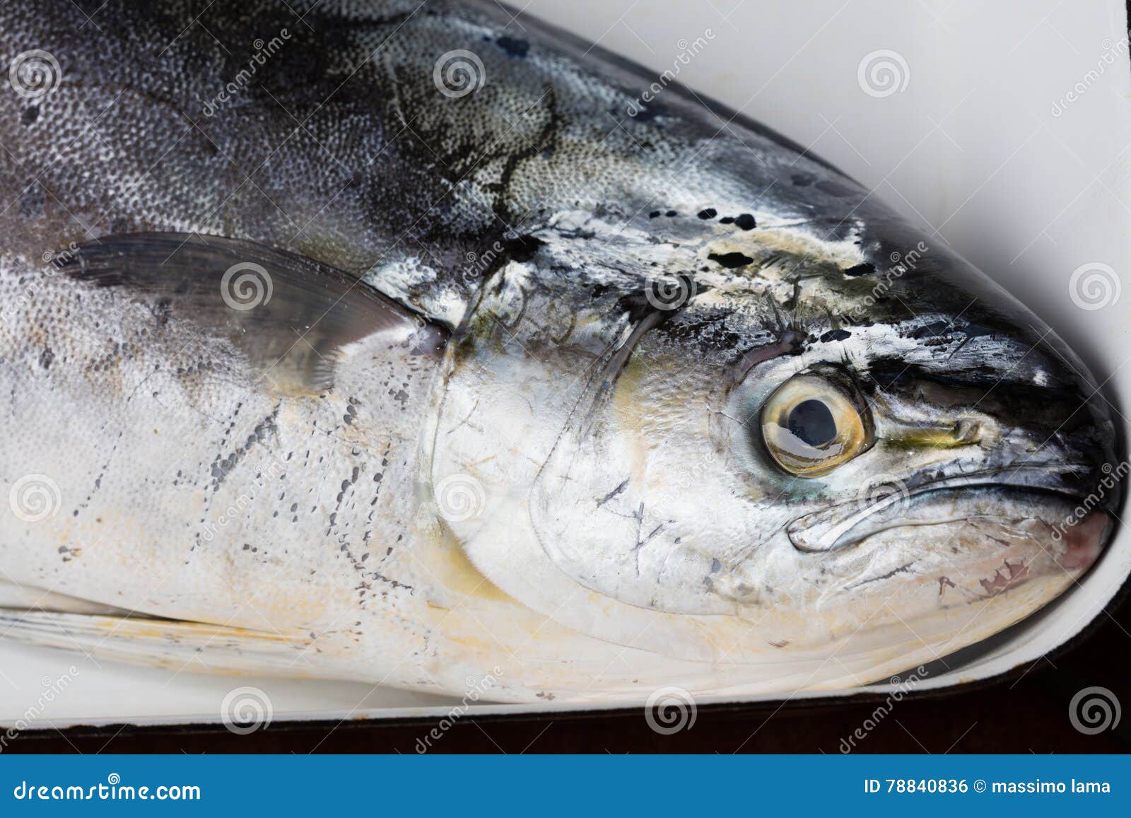 Lampuga in market stock photo. Image of animal, dolphinfish - 78840836