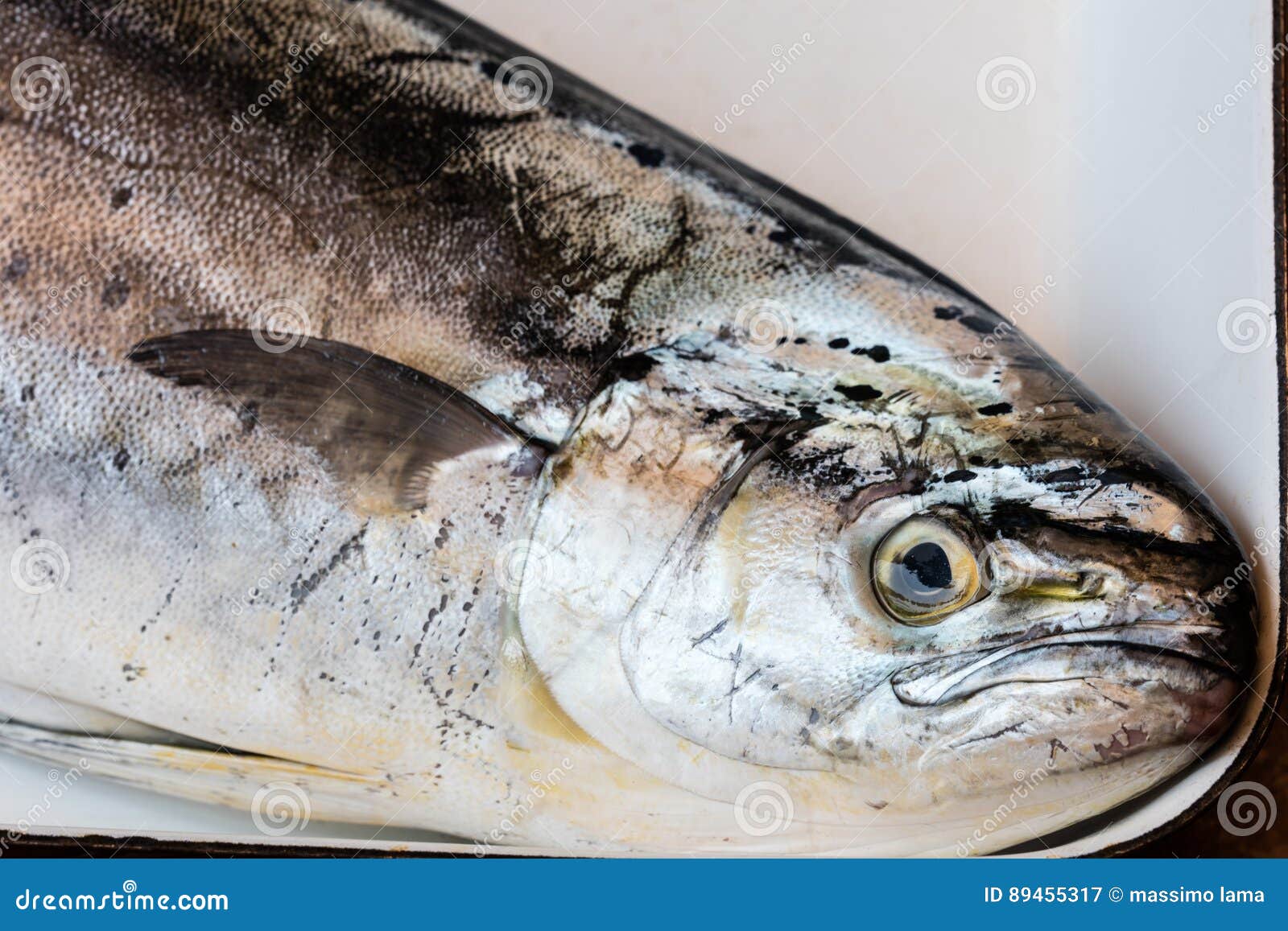 Lampuga in market stock image. Image of lampuka, leaf - 89455317