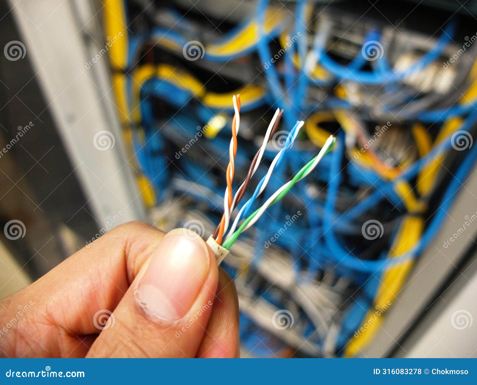 The LAN cable stock photo. Image of business, virus - 316083278