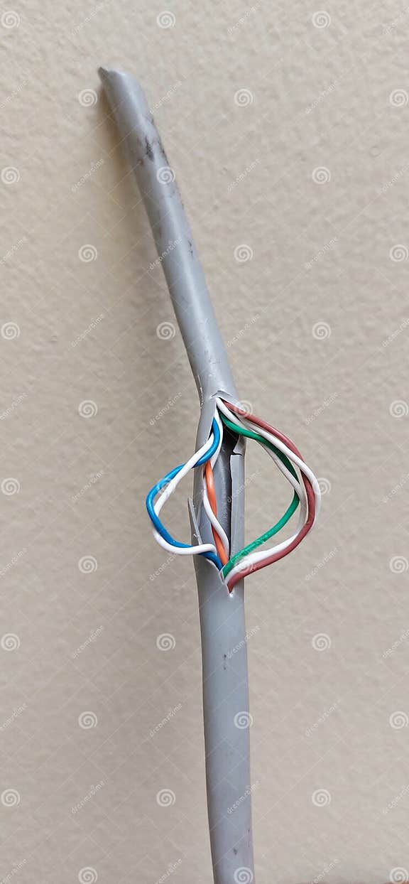 The LAN Cable is Broken because it Was Bitten by a Rat Stock Image ...
