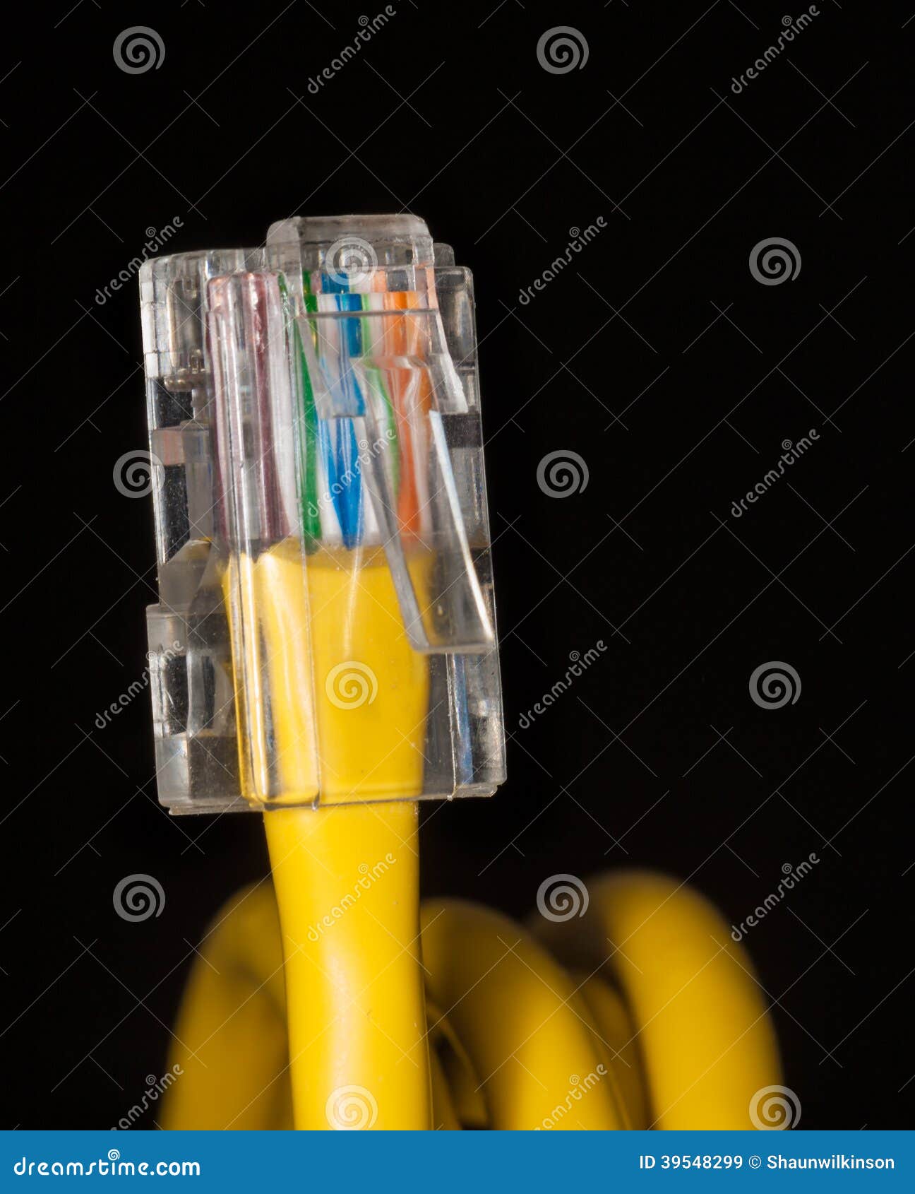 Lan cable close up stock image. Image of connector, isolated - 39548299