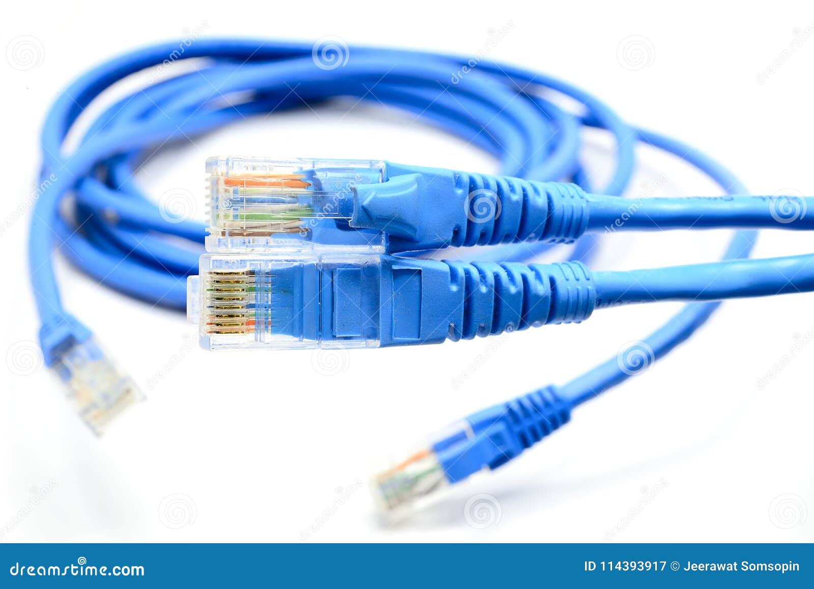 LAN Cable Connect To Network Device Stock Image - Image of data ...