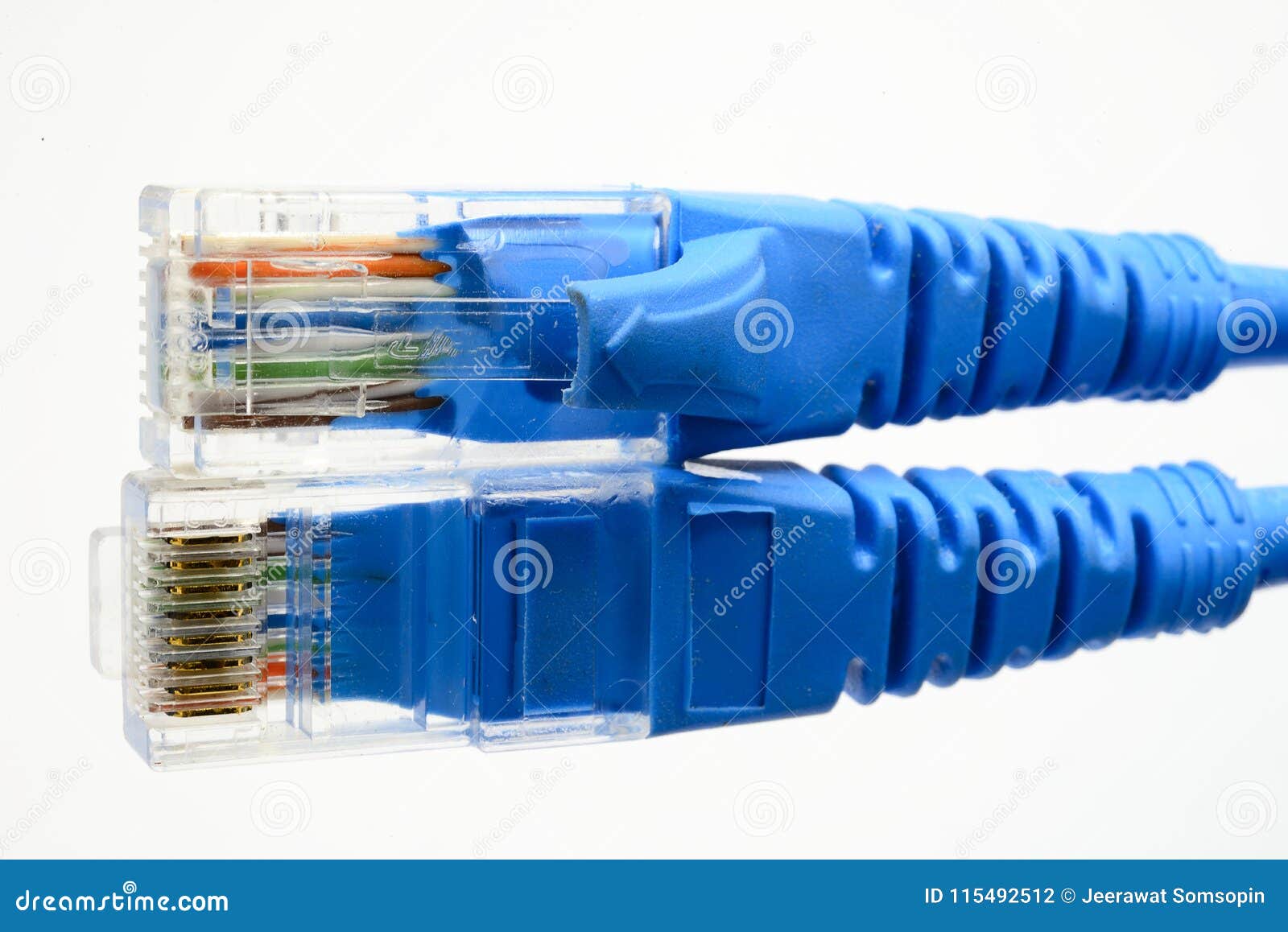 LAN Cable Connect To Network Device Stock Photo - Image of internet ...
