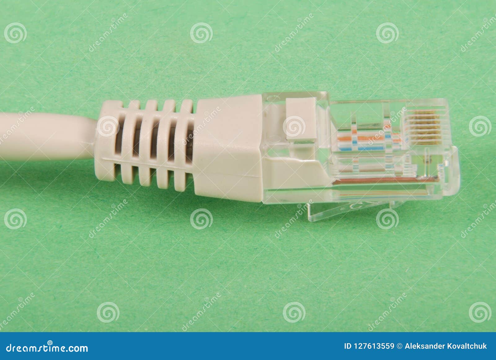 Lan Cable and Connector RJ45 Stock Image - Image of blue, data: 127613559