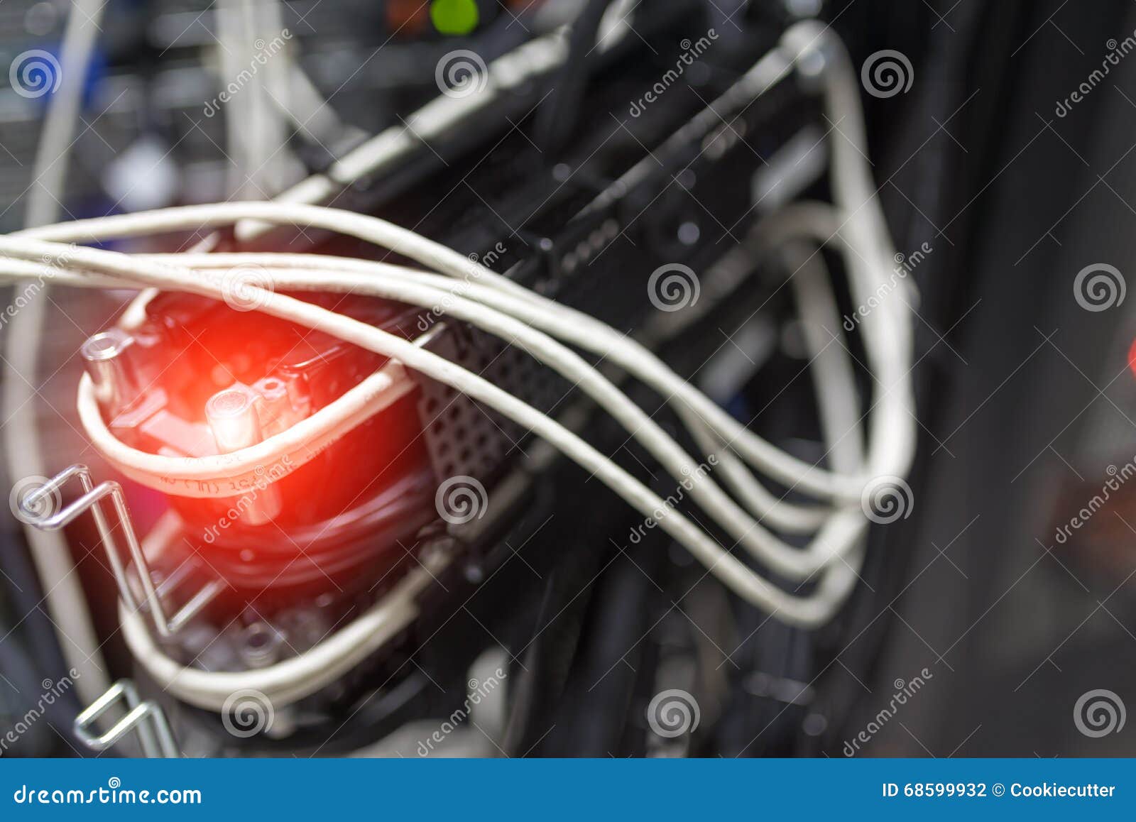 Lan cable in network room stock photo. Image of technology - 68599932