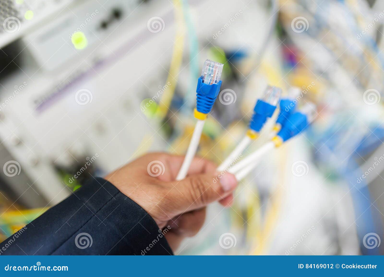 Lan cable in network room stock photo. Image of internet - 84169012