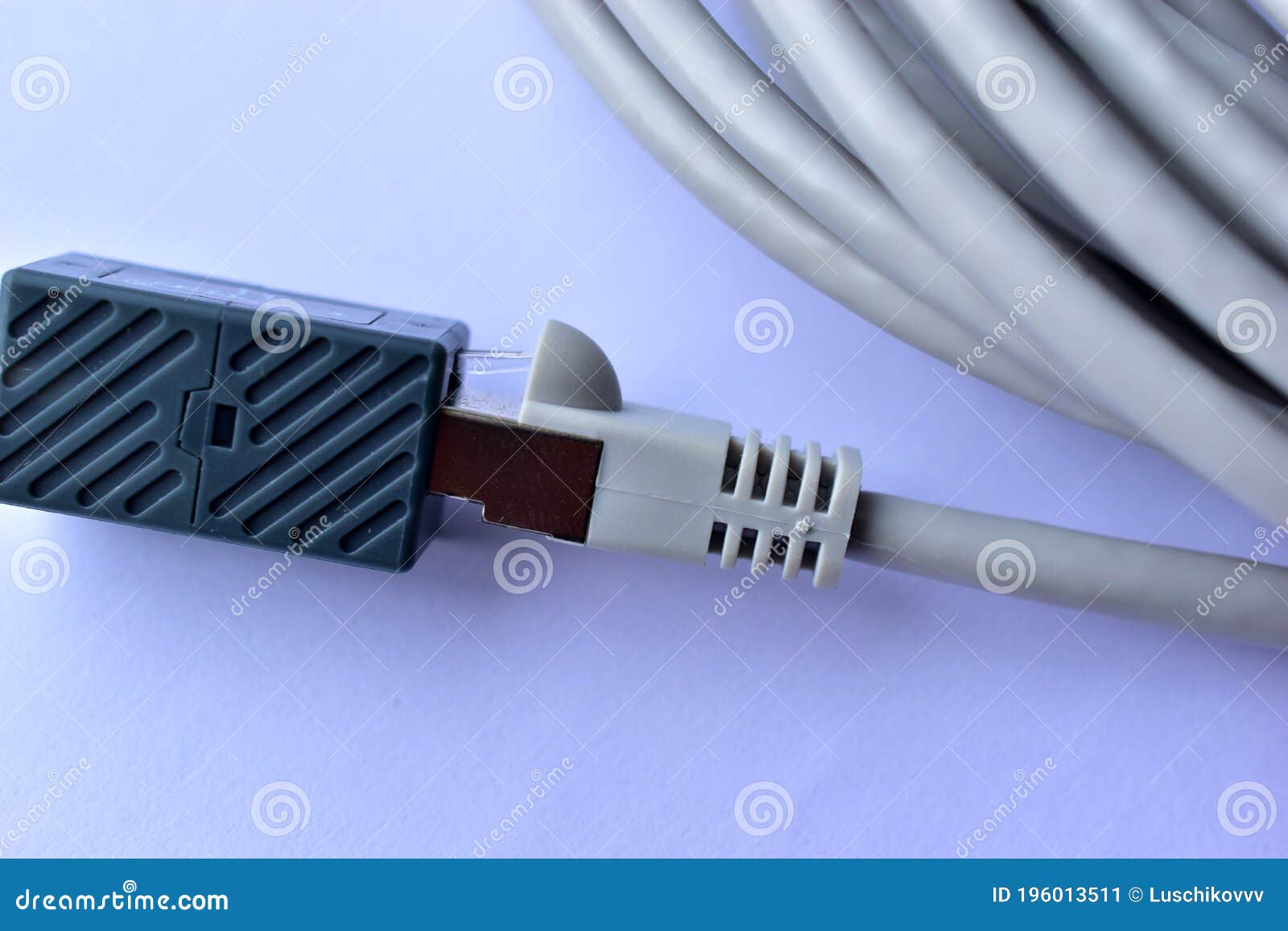 LAN Cable Patch Cord White Cord on White Background with Adapter Stock ...