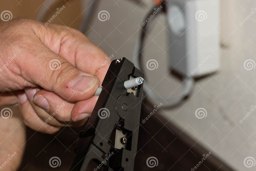LAN cable preparation stock image. Image of cable, hands - 96175357