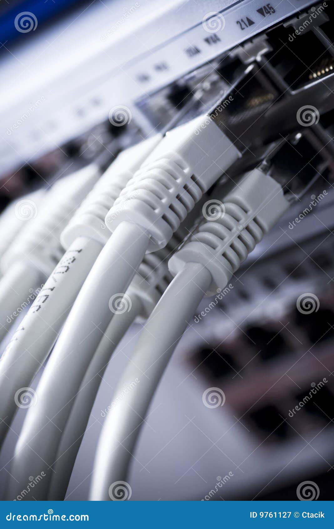 Lan Cables Connected To a Switch Stock Image - Image of ethernet ...