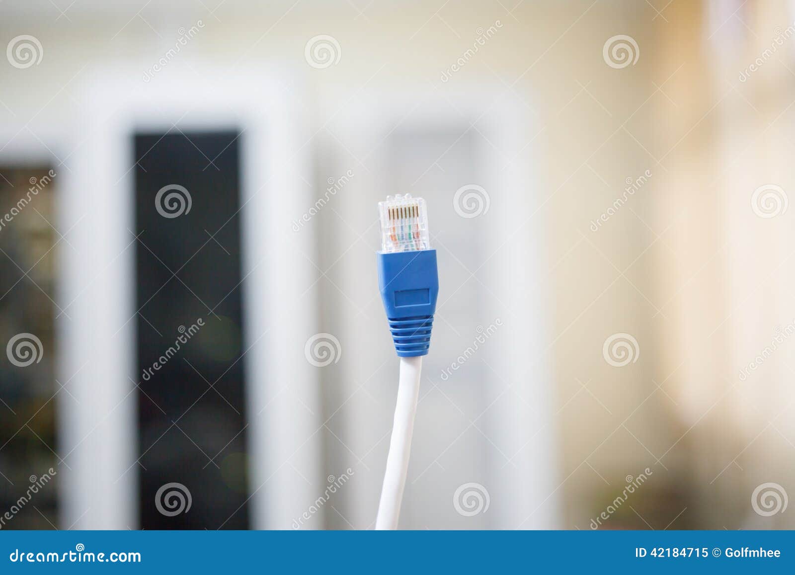 LAN cables front of Server stock image. Image of connector - 42184715