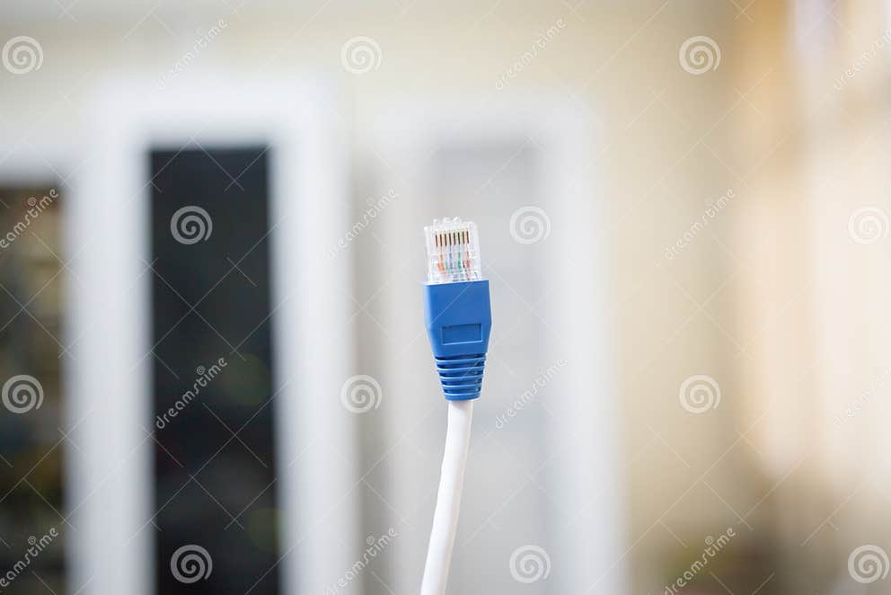 LAN cables front of Server stock image. Image of connector - 42184715