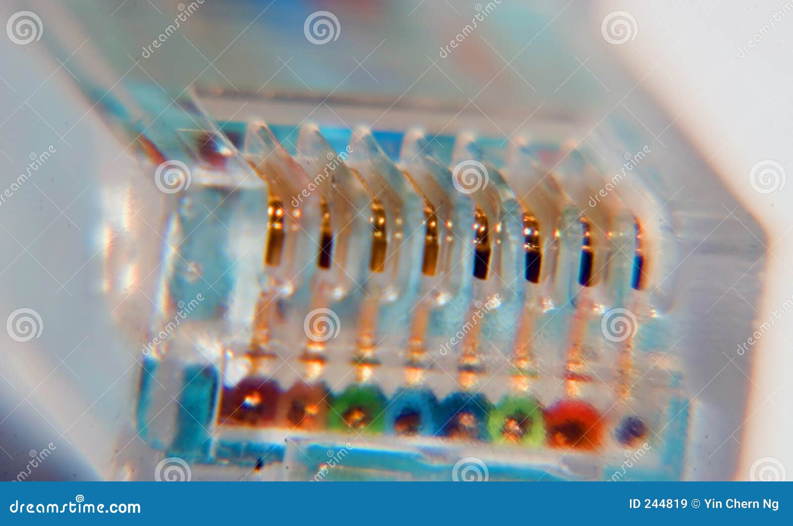 LAN Connector stock image. Image of international, transfer - 244819