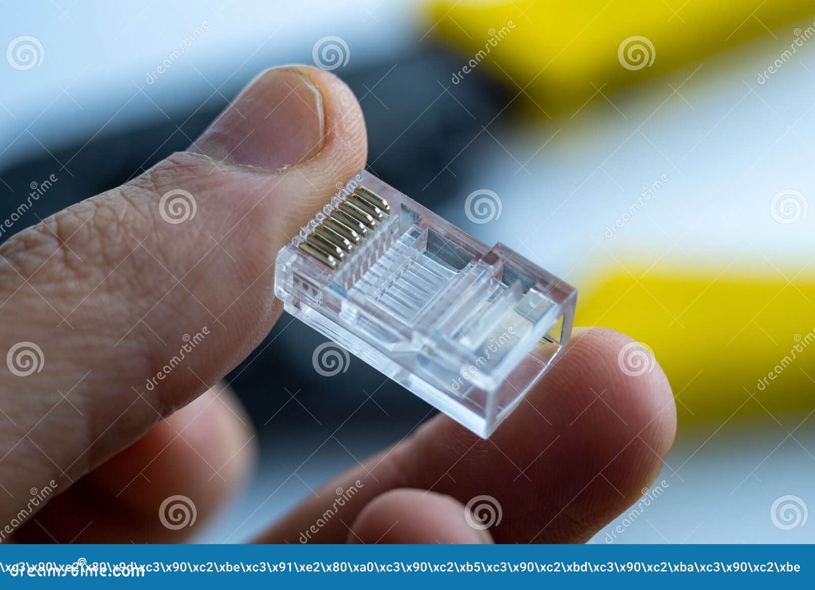 LAN Ethernet Rj45 Connector in Hand. Close Up Stock Photo - Image of ...