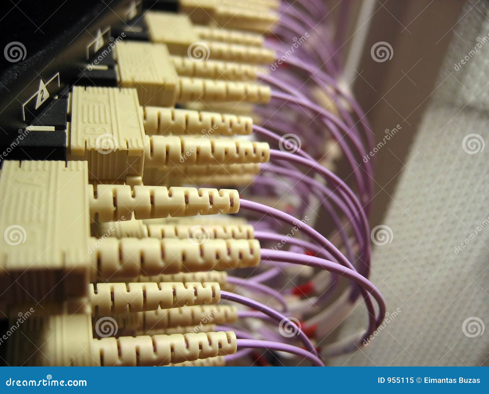 LAN Hardware stock image. Image of isdn, computing, fibre - 955115