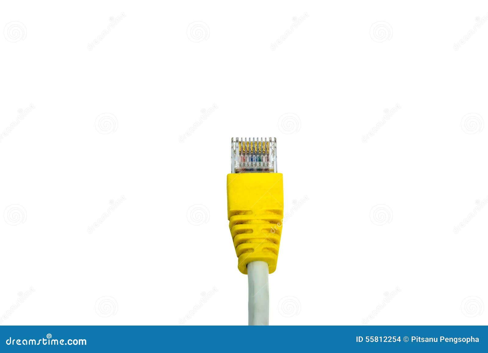 LAN Isolated on White Background Stock Photo - Image of contact, plug ... LAN Isolated on White Background Stock Photo - Image of contact, plug ...