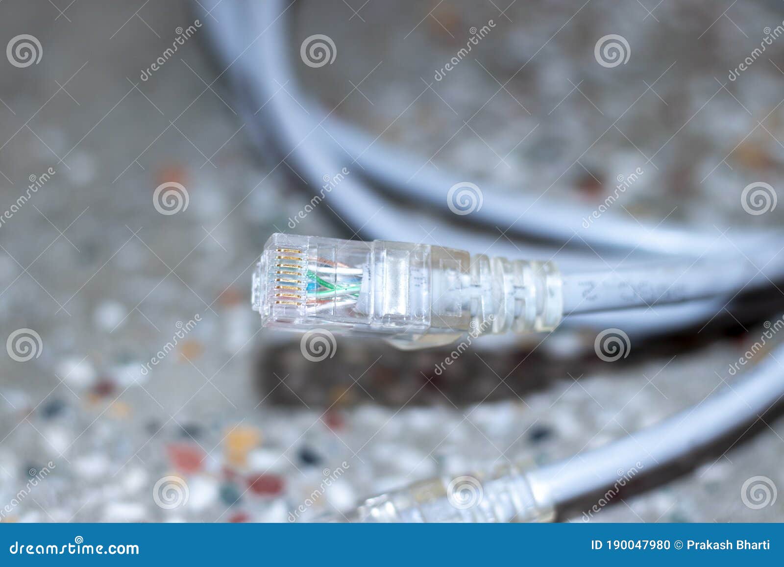 Lan Network Cable Patch Cord Stock Photo - Image of host, internet ...