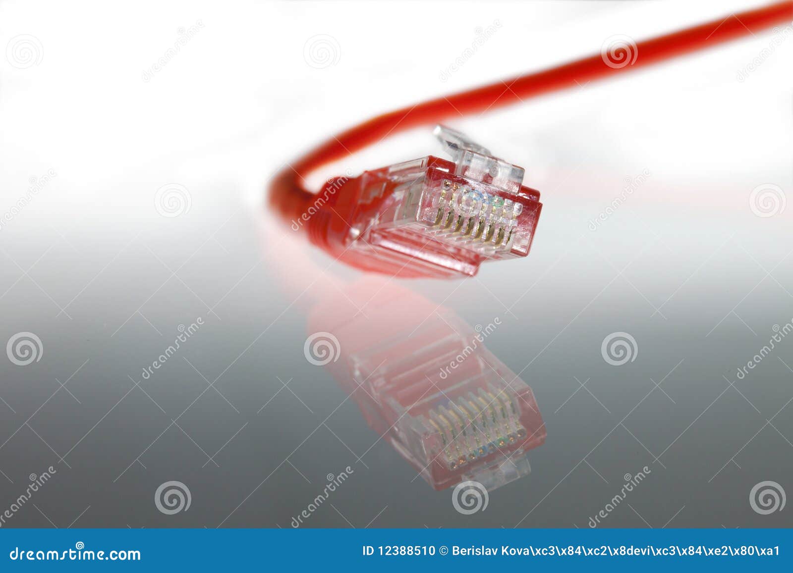 LAN Red Cat 5 Wire cable stock photo. Image of interface - 12388510