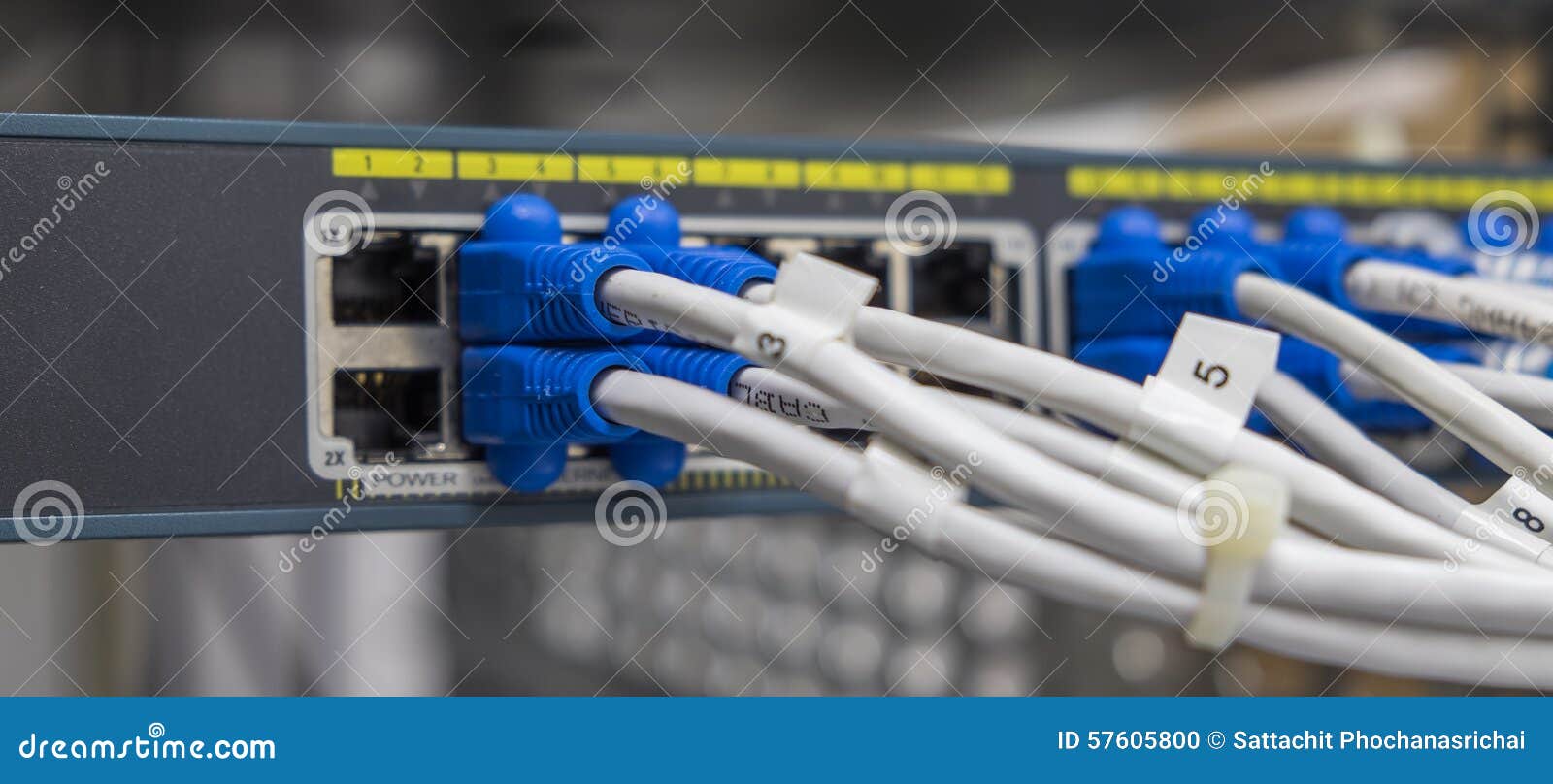 Lan Utp Cable Plug in Network Switch Stock Photo - Image of switch ...