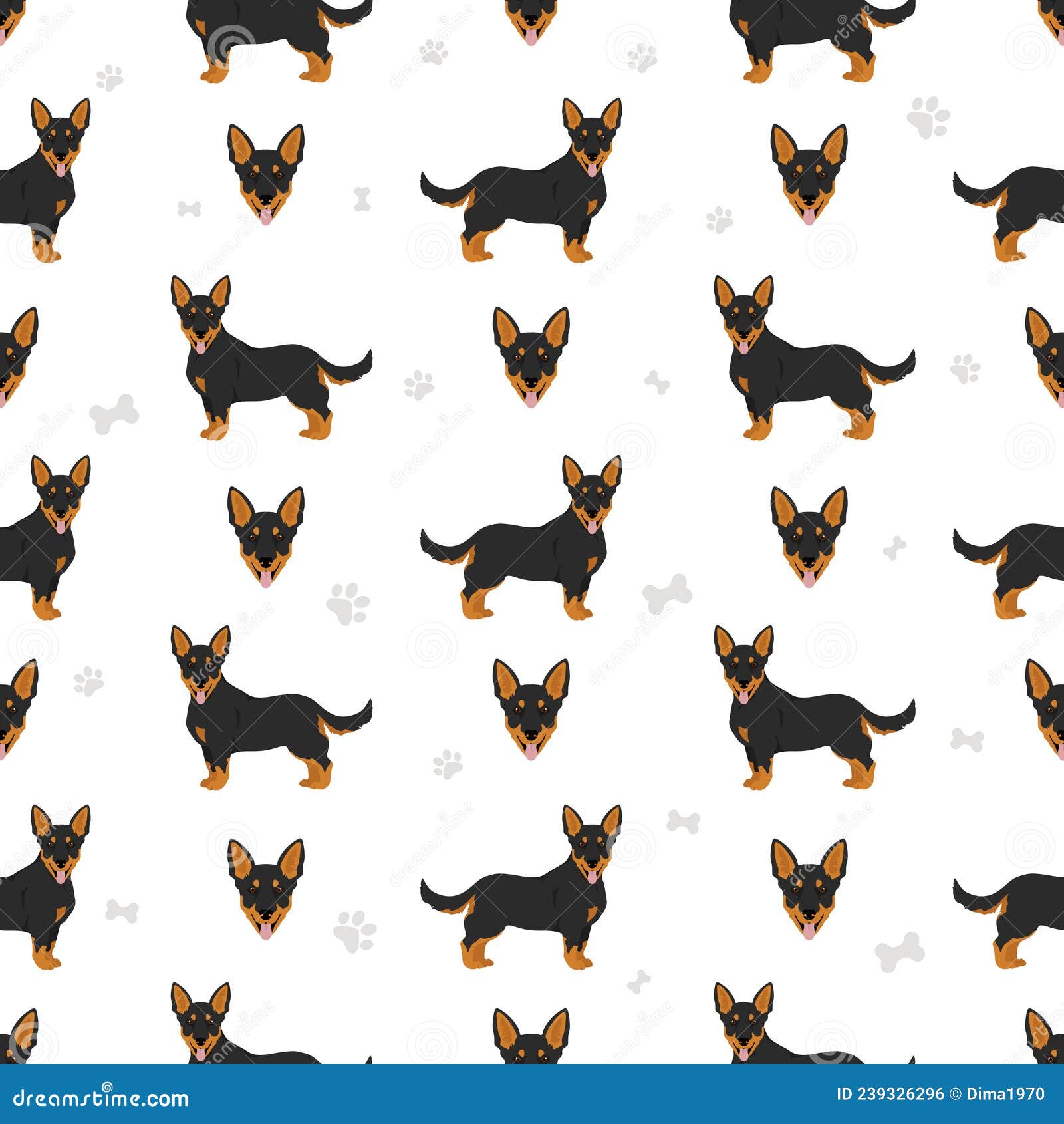 Lancashire Heeler Seamless Pattern. Different Poses, Coat Colors Set ...