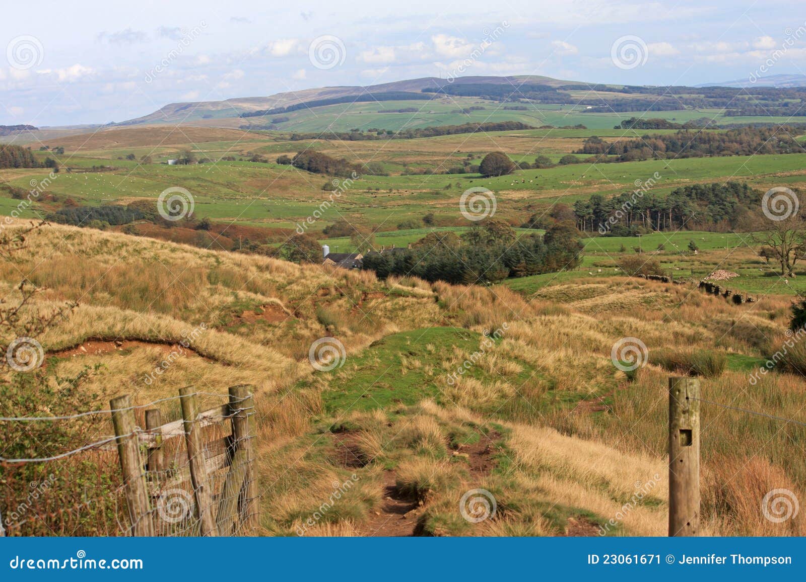 Lancashire moor stock image. Image of field, woods, light - 23061671