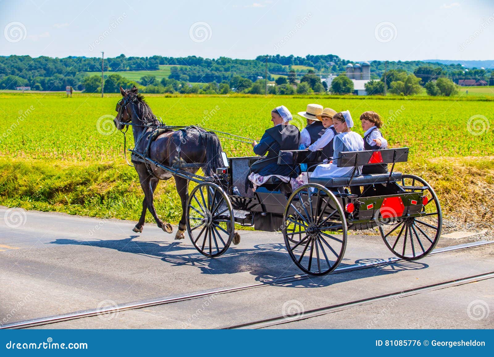Lancaster County Amische Familie Redaktionelles Foto - Bild von land ...
