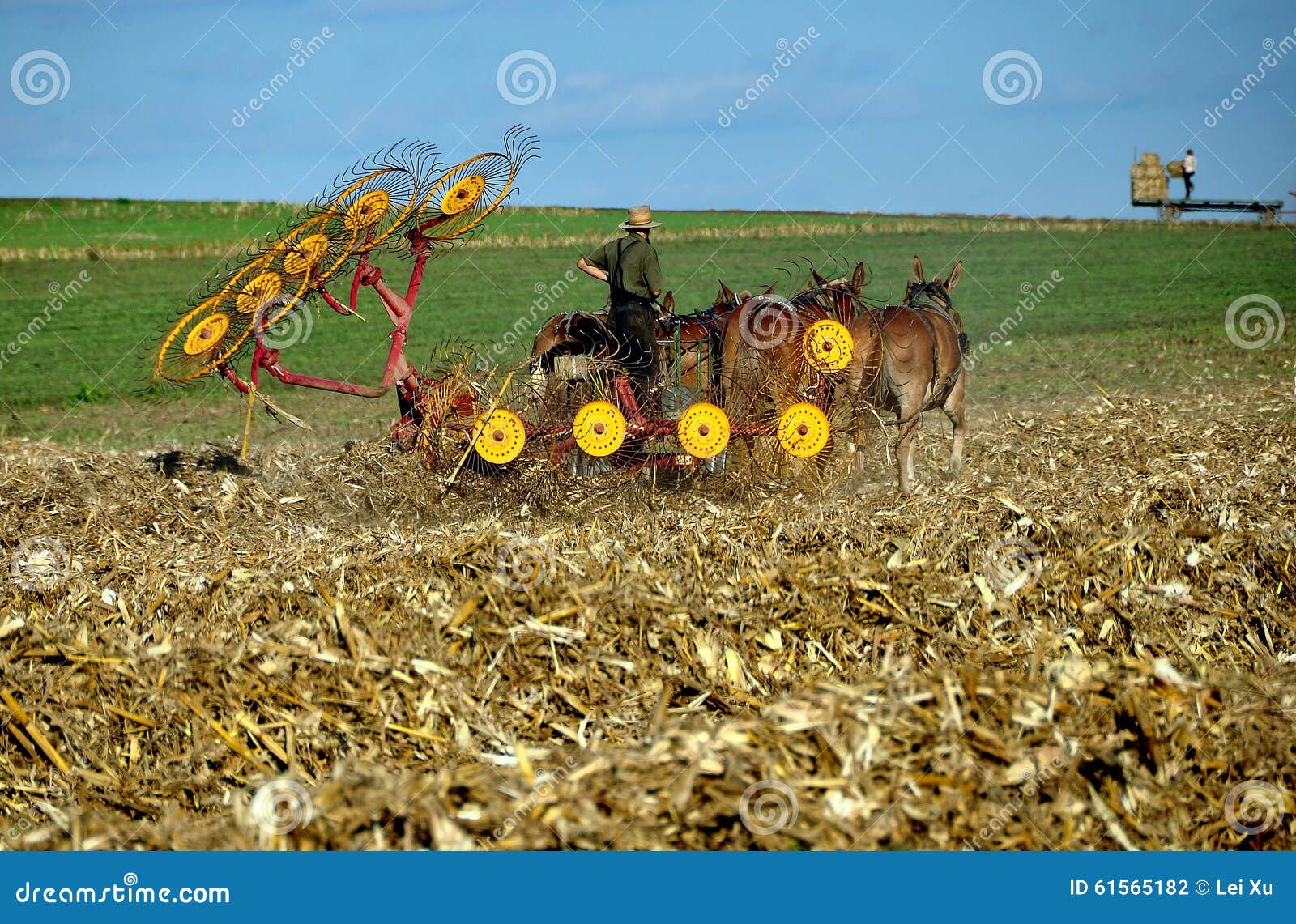 Lancaster County, PA: Amish Farmer in Field Editorial Photography ...