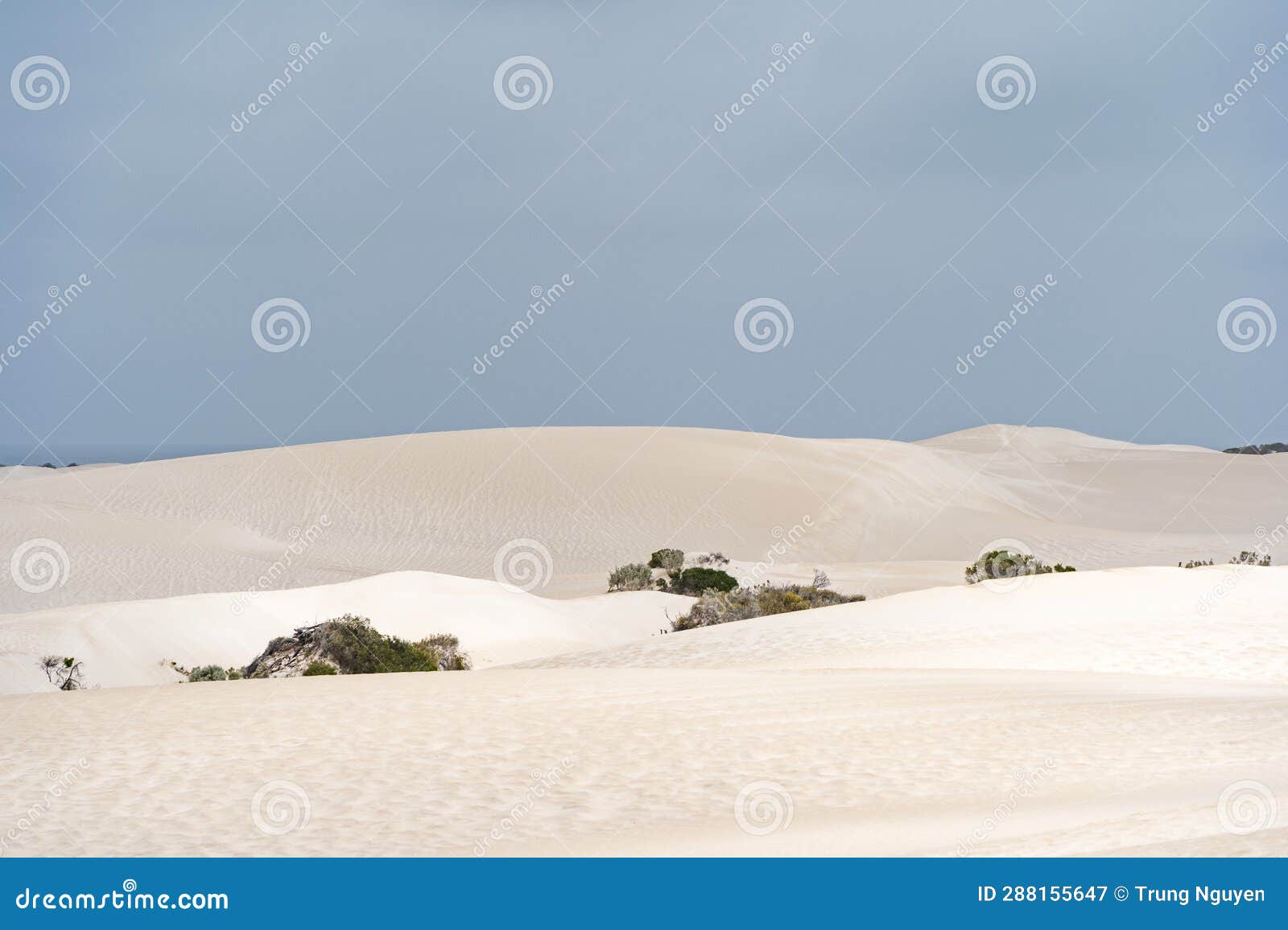 Lancelin Sand Dunes in WA. stock image. Image of nature - 288155647